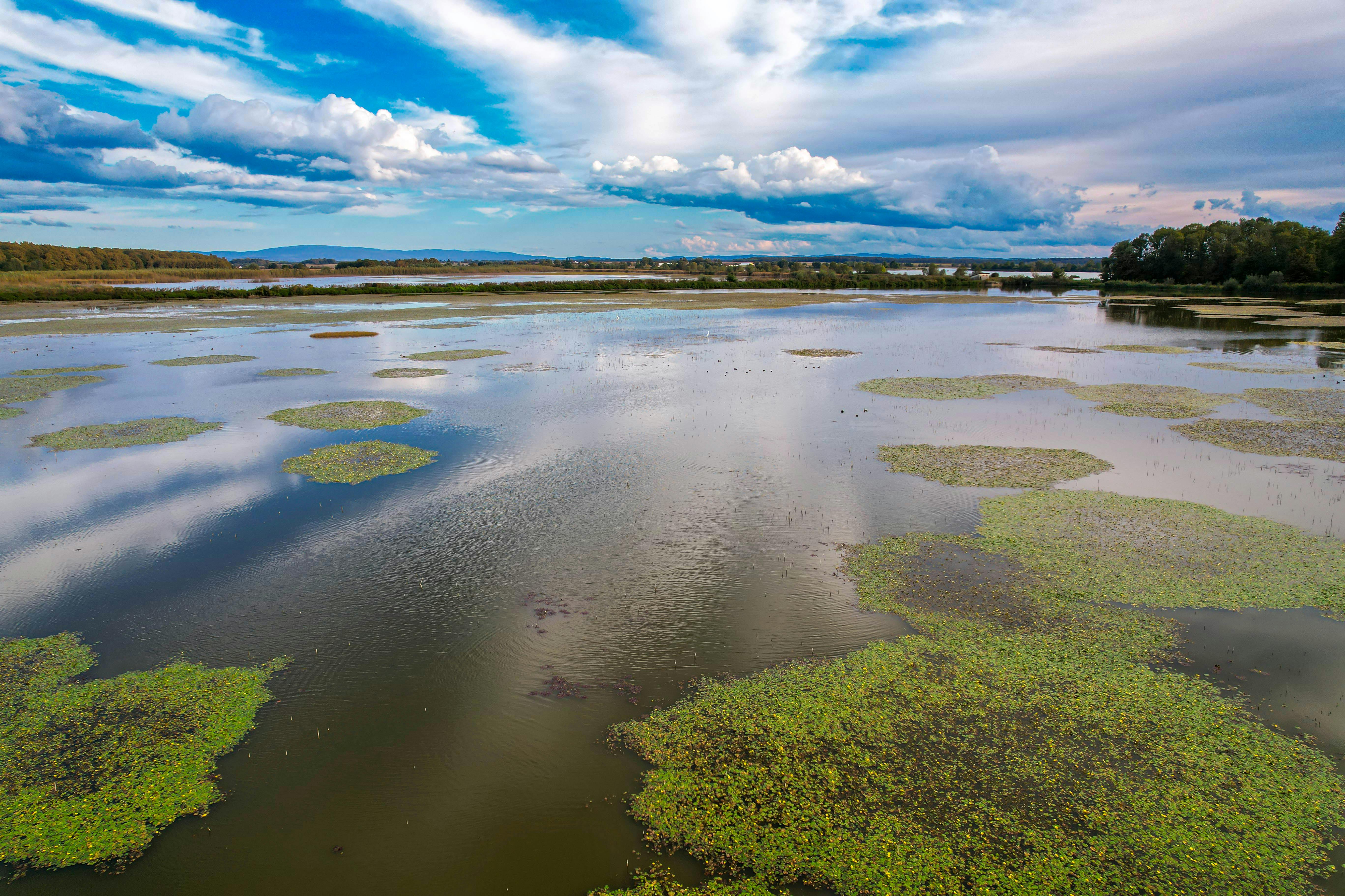Scenic Aerial View of Wetlands in Croatia · Free Stock Photo