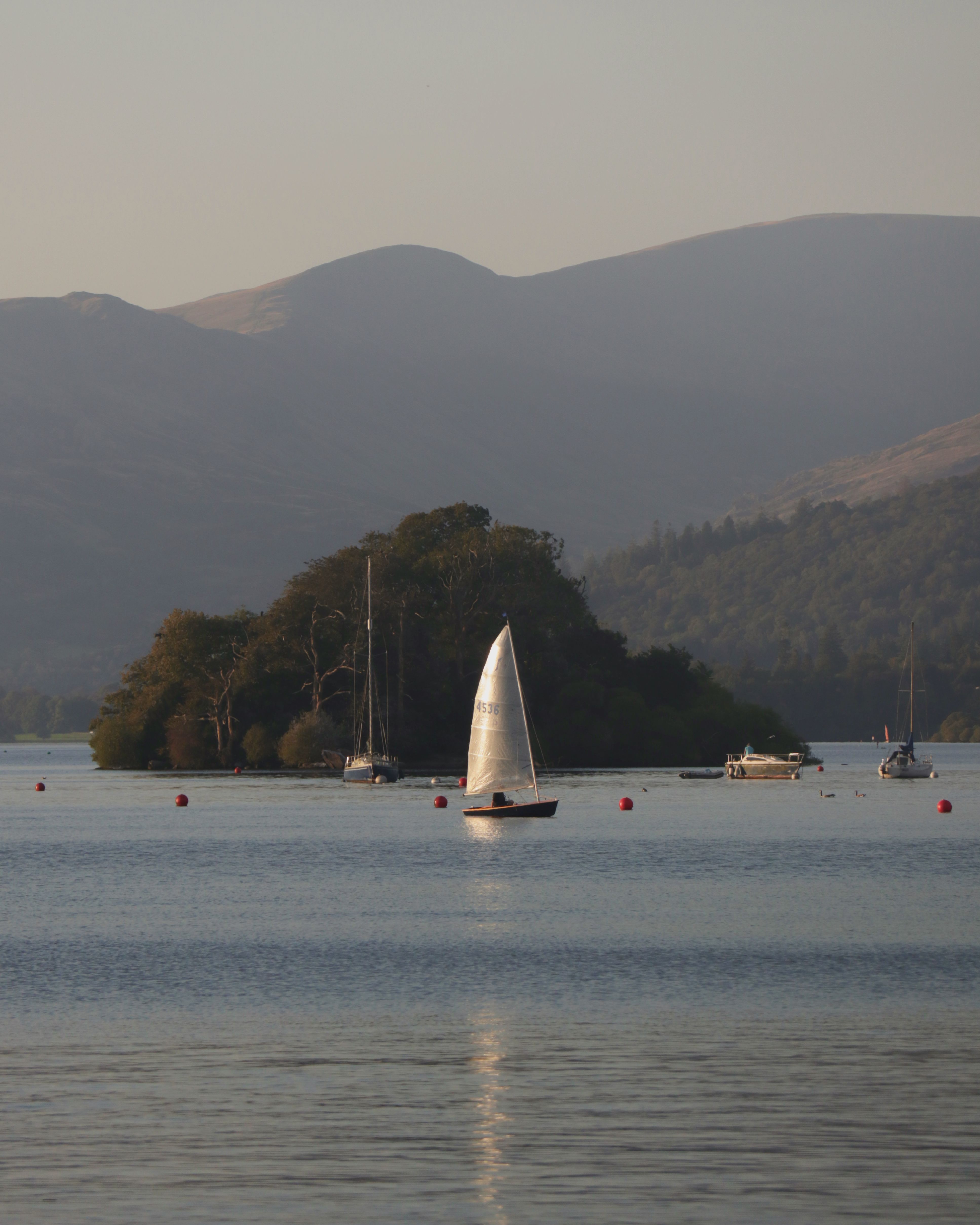 Sailboat on Tranquil Lake Windermere · Free Stock Photo