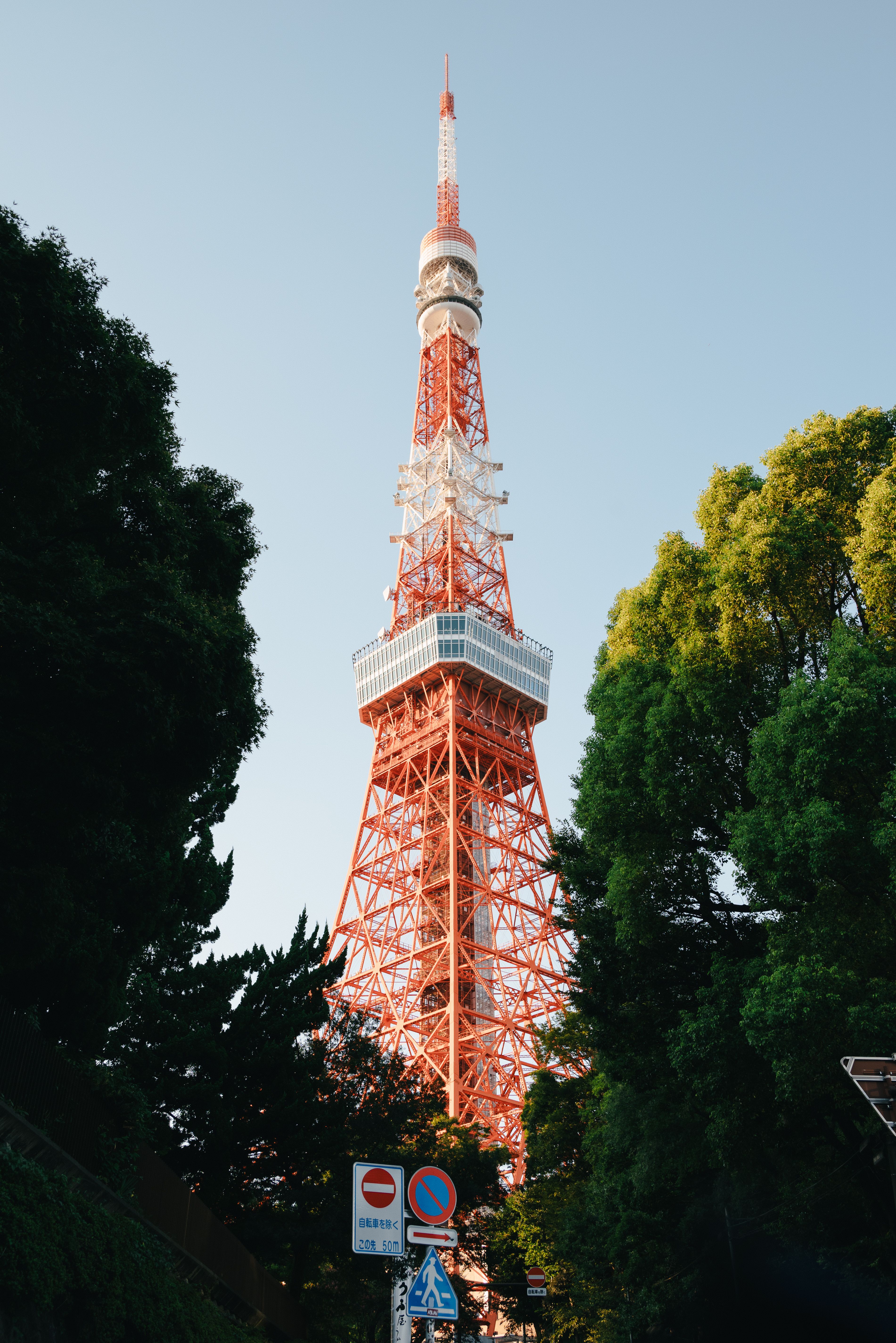 Tokyo Tower Amidst Greenery on a Sunny Day · Free Stock Photo