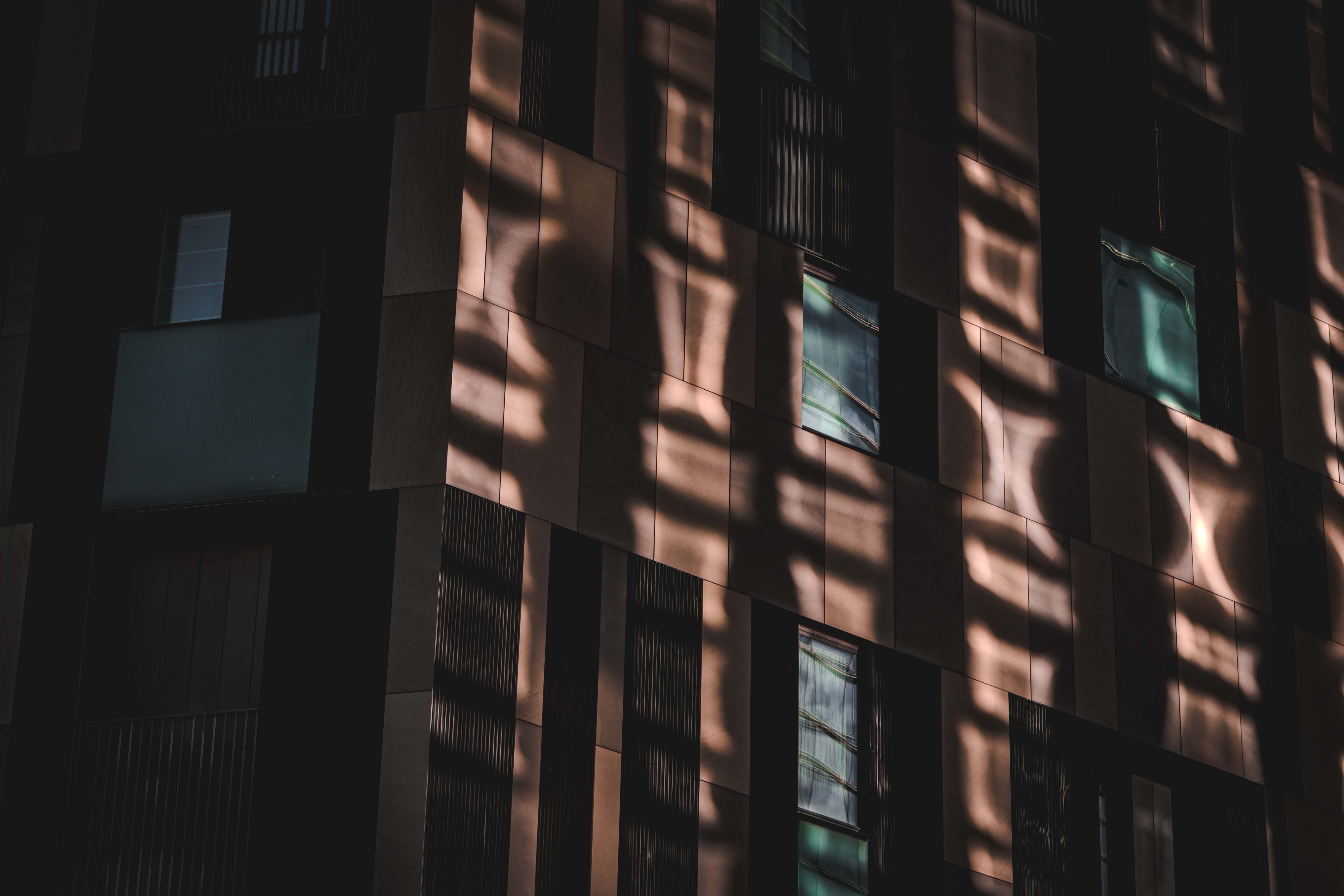 Edit in Canva