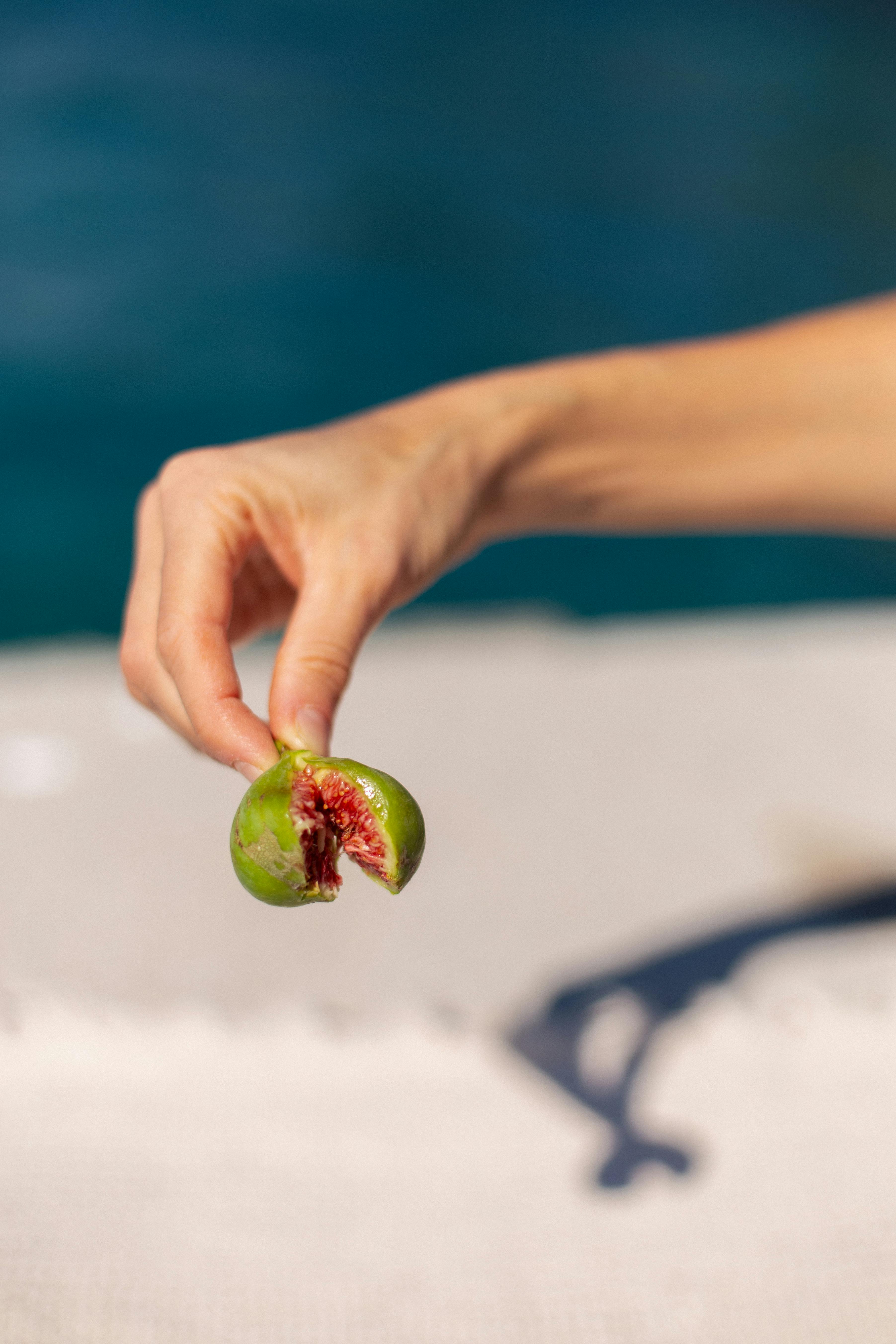 Sea Figs Photos, Download The BEST Free Sea Figs Stock Photos & HD Images