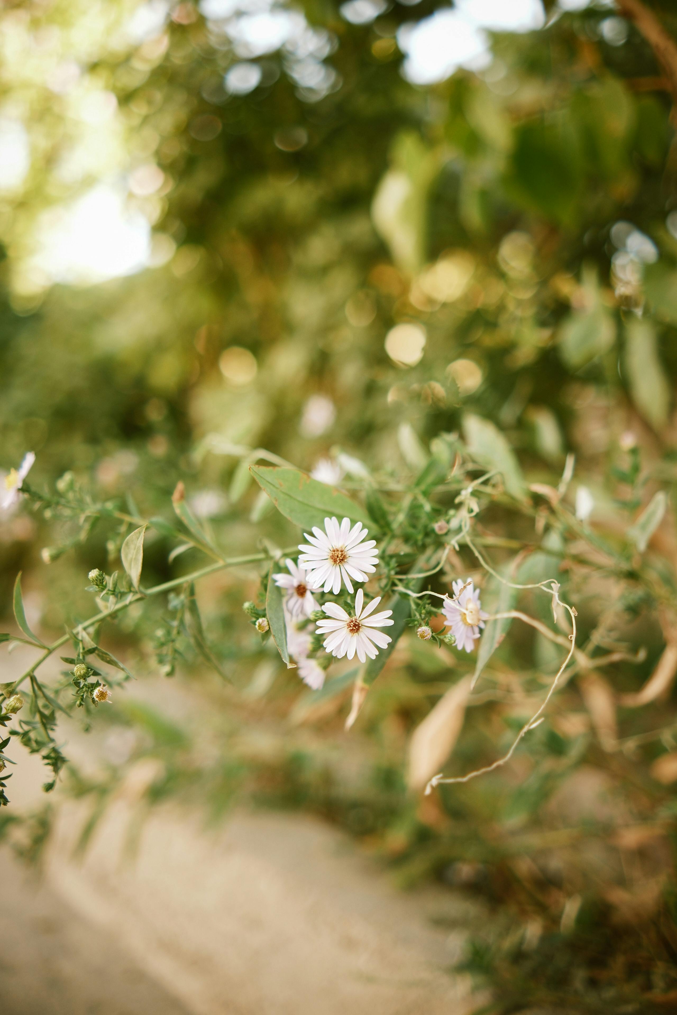 Color: Green Photos, Download The BEST Free Color: Green Stock Photos ...