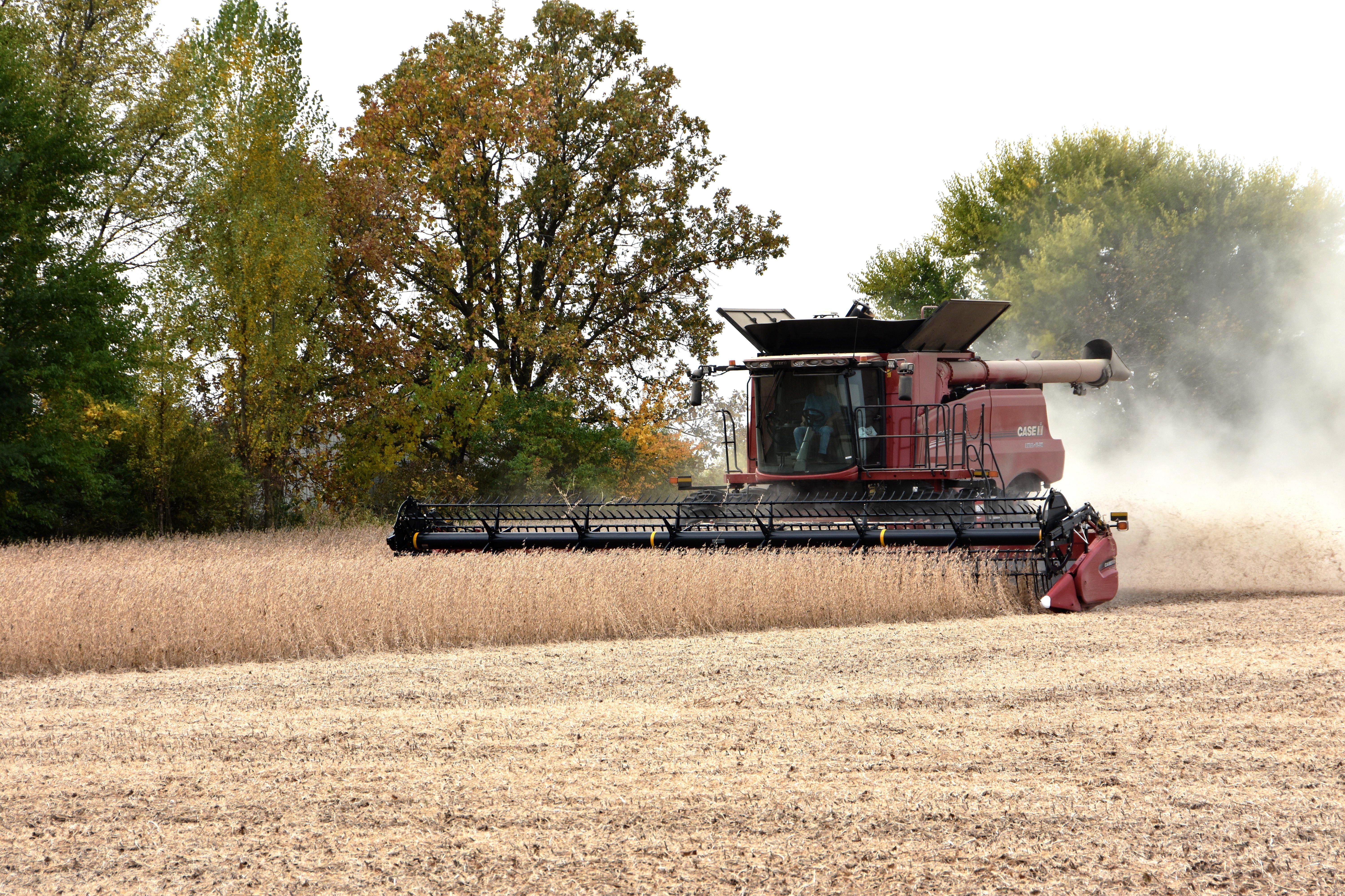 Combine Harvester Operating in Soybean Field · Free Stock Photo
