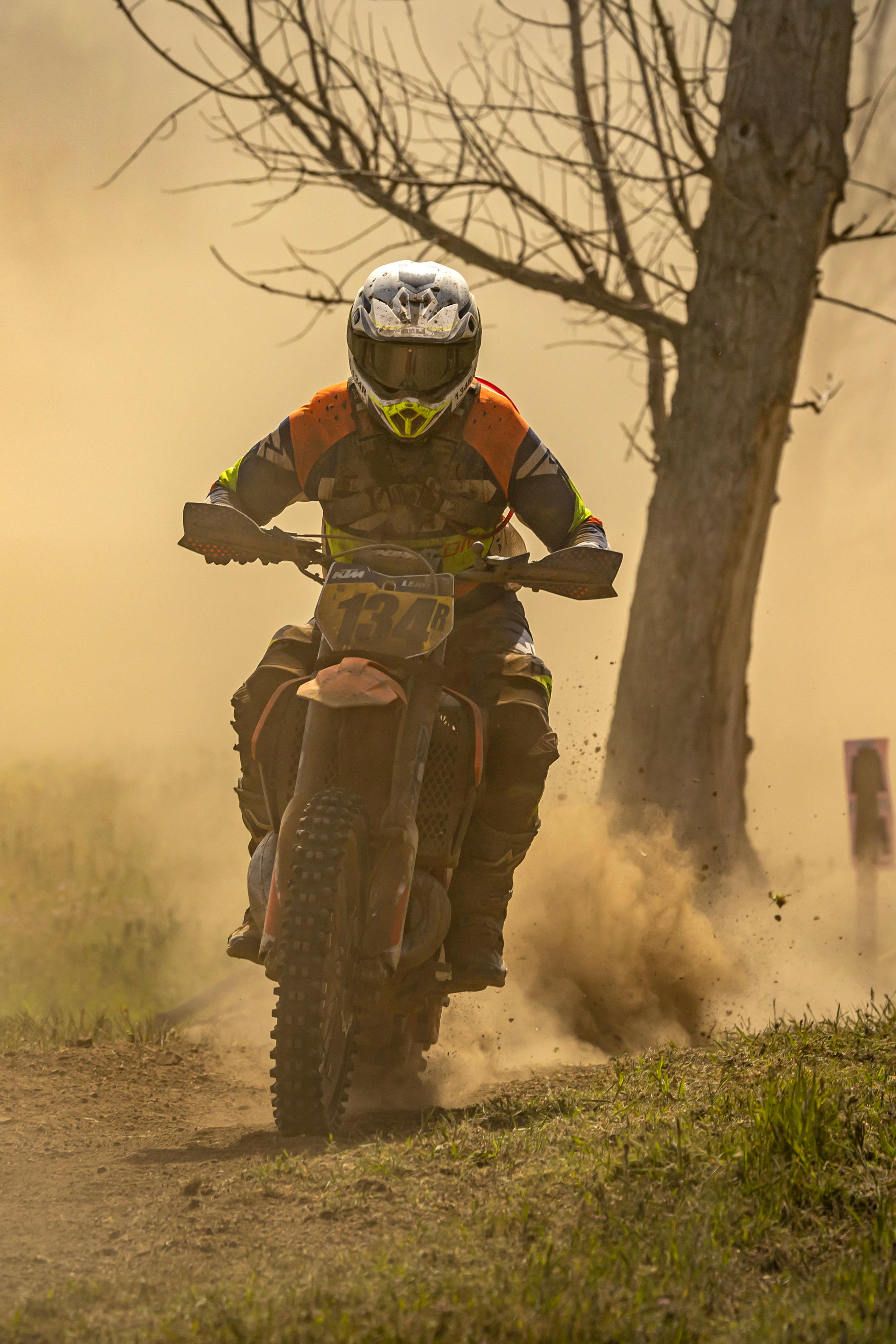 Win Tree Photos, Download The BEST Free Win Tree Stock Photos & HD Images