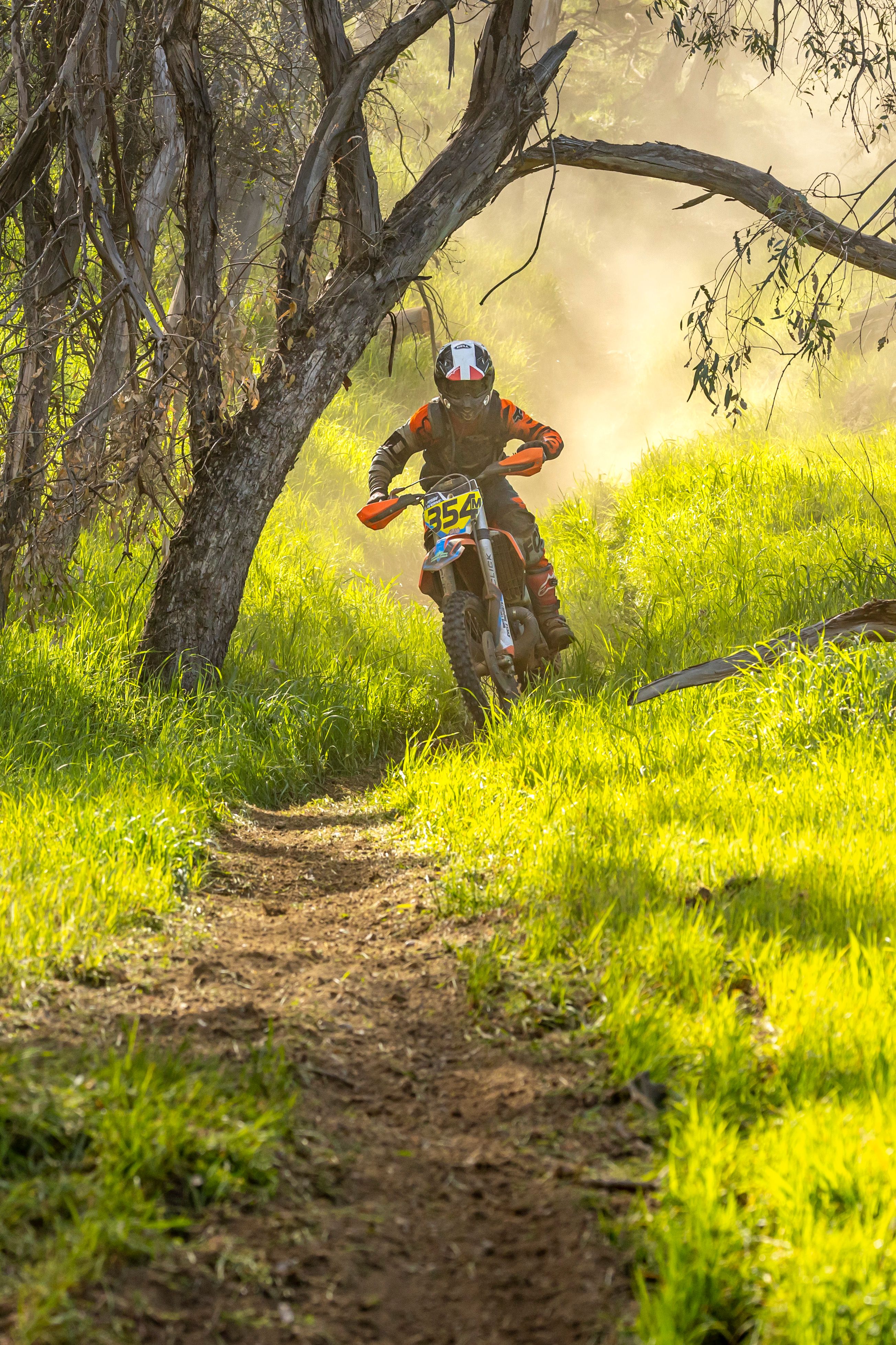 Motocross Rider in Sunny Forest Trail · Free Stock Photo