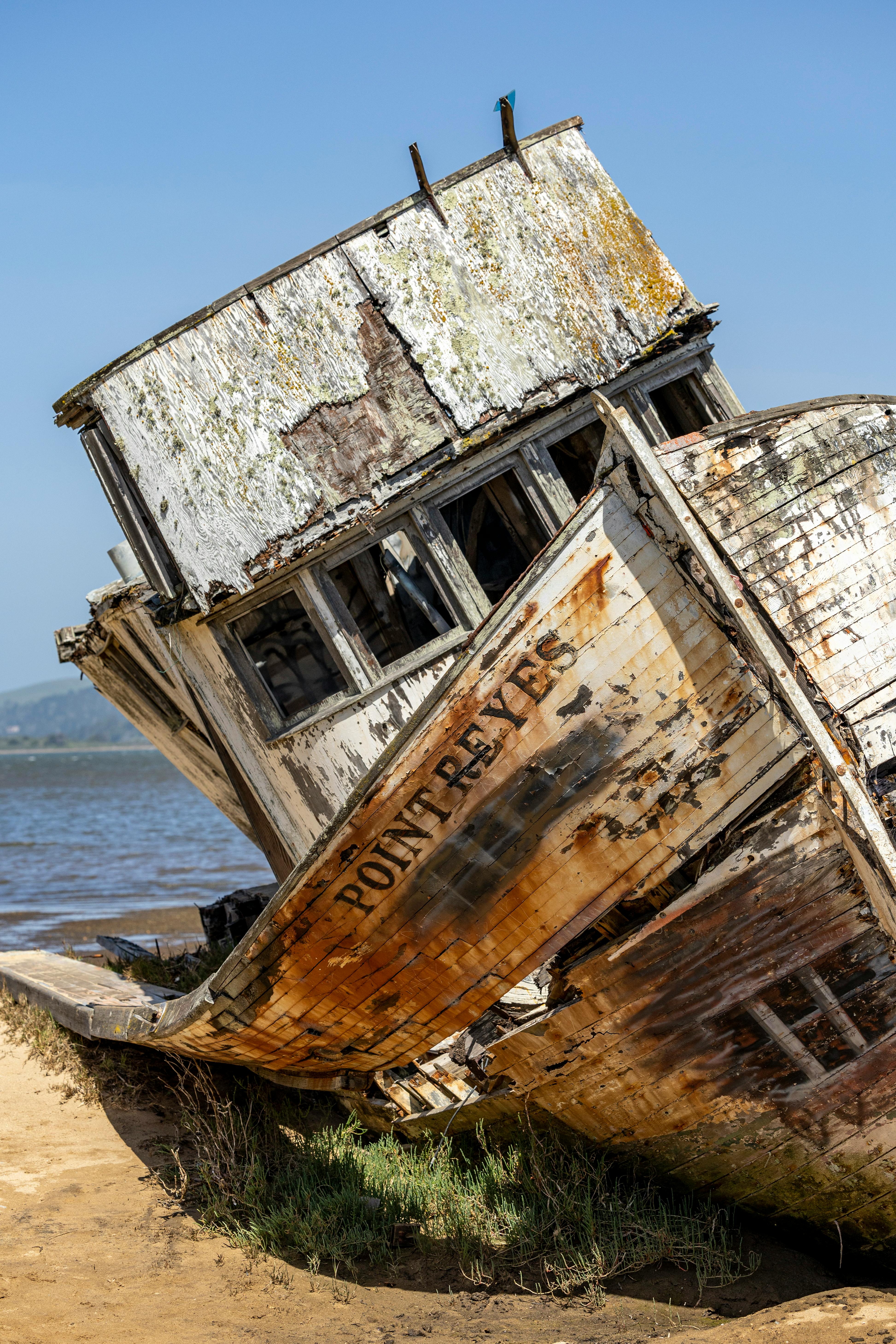Abandoned Shipwreck of Point Reyes on Sandy Shore · Free Stock Photo