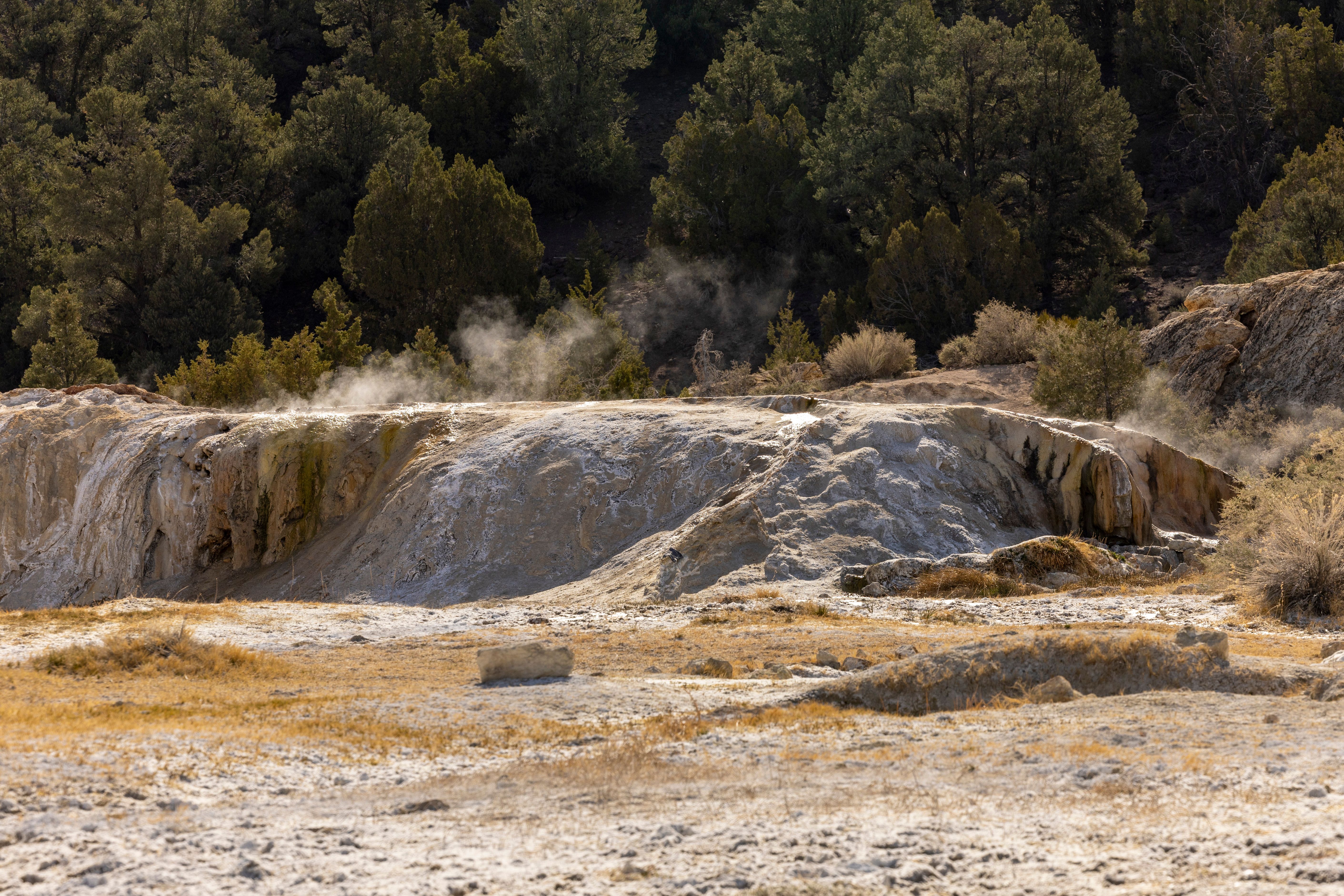 Geothermal Steam Vent in Rocky Landscape · Free Stock Photo