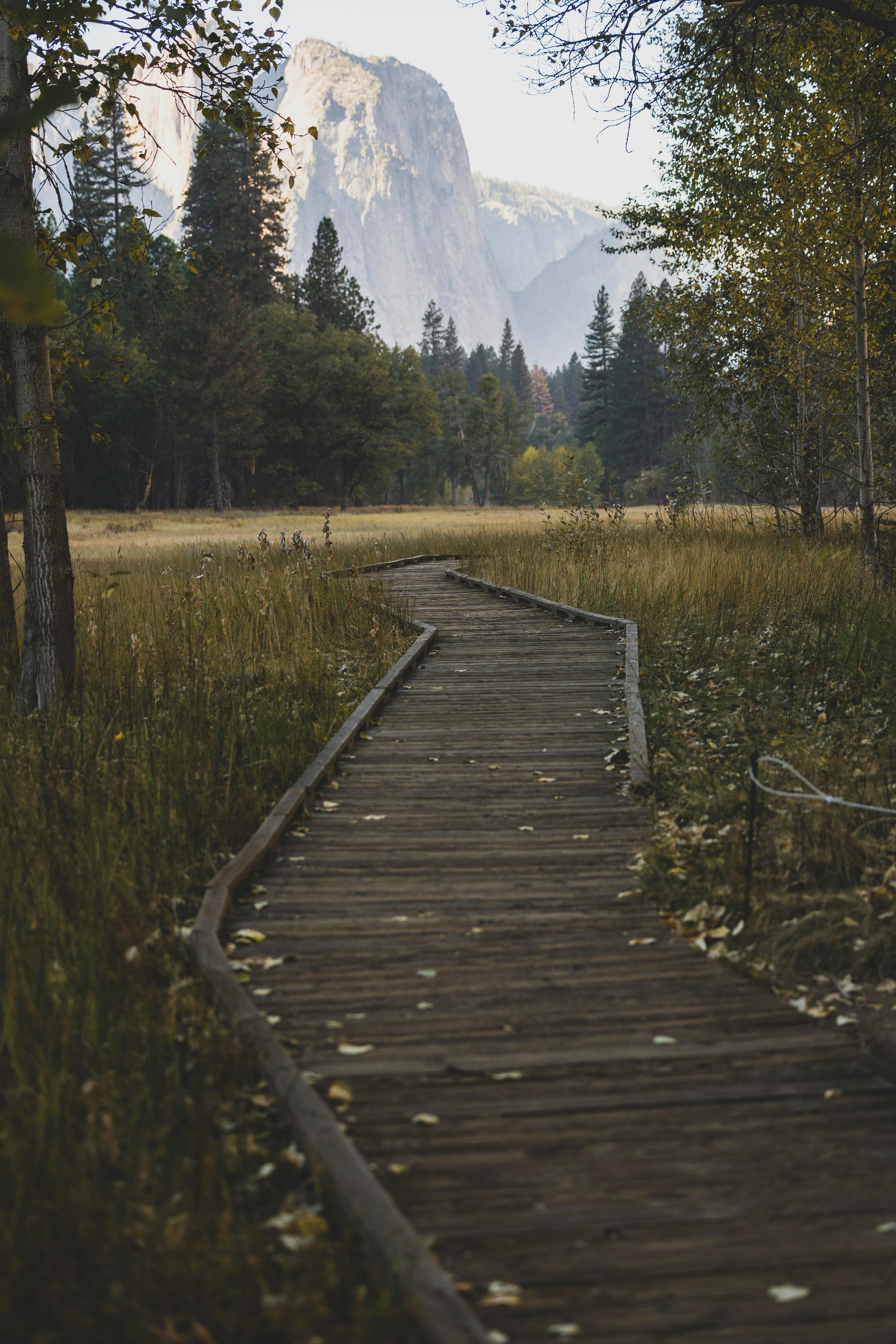 Scenic Yosemite Valley Boardwalk Pathway · Free Stock Photo