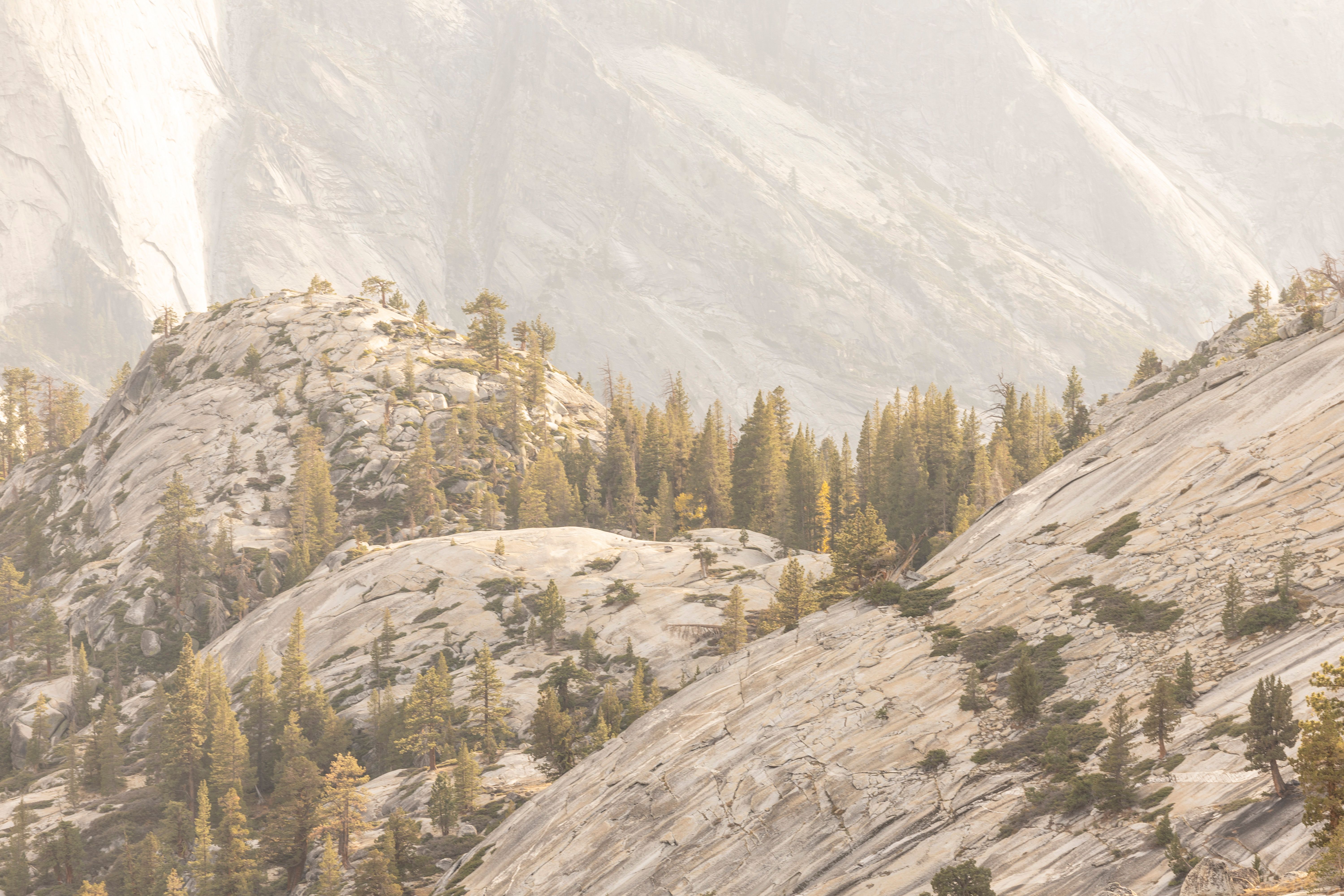 Scenic View Of Mountain During Daytime · Free Stock Photo