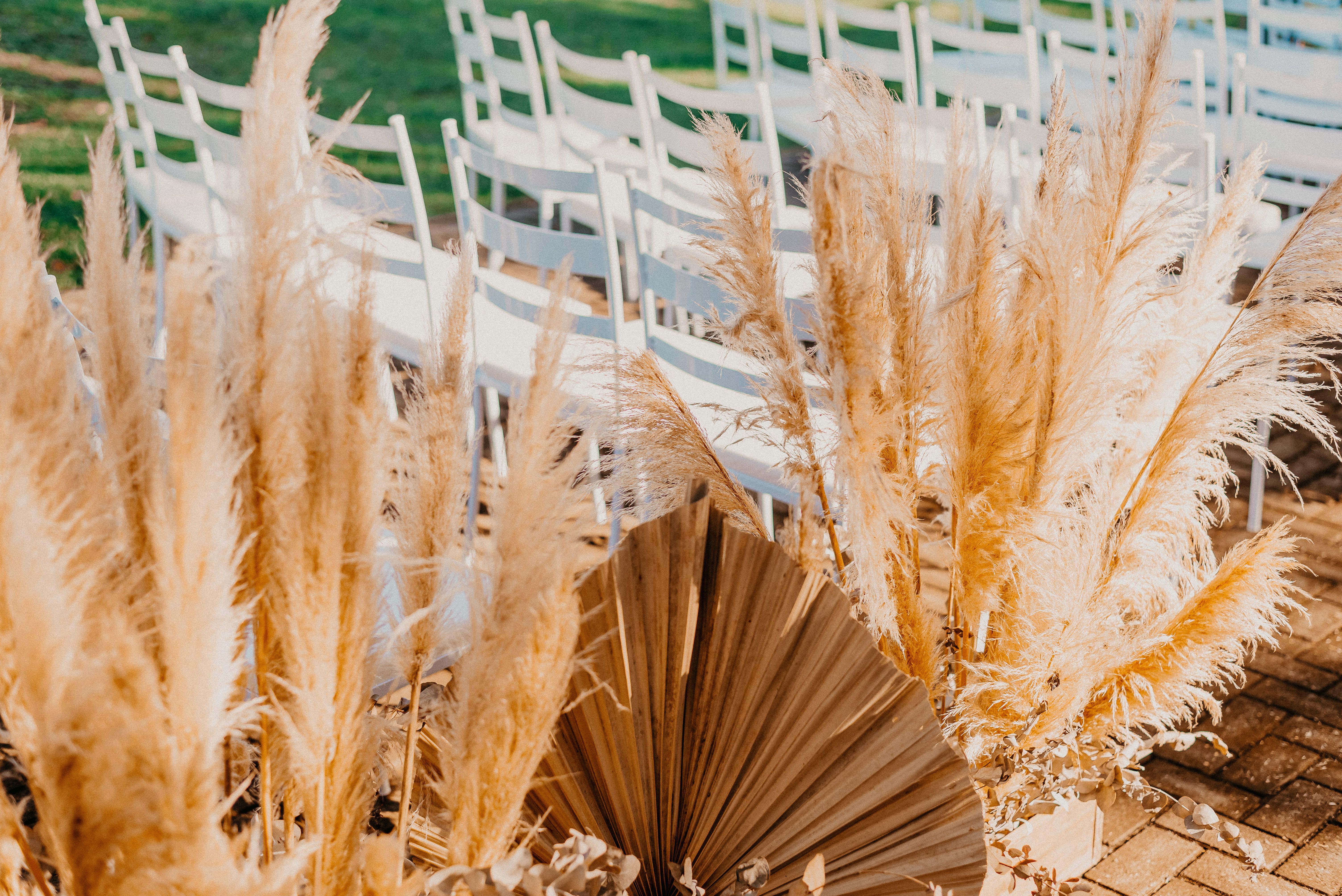 Elegant Outdoor Wedding Ceremony Decor with Pampas Grass · Free Stock Photo