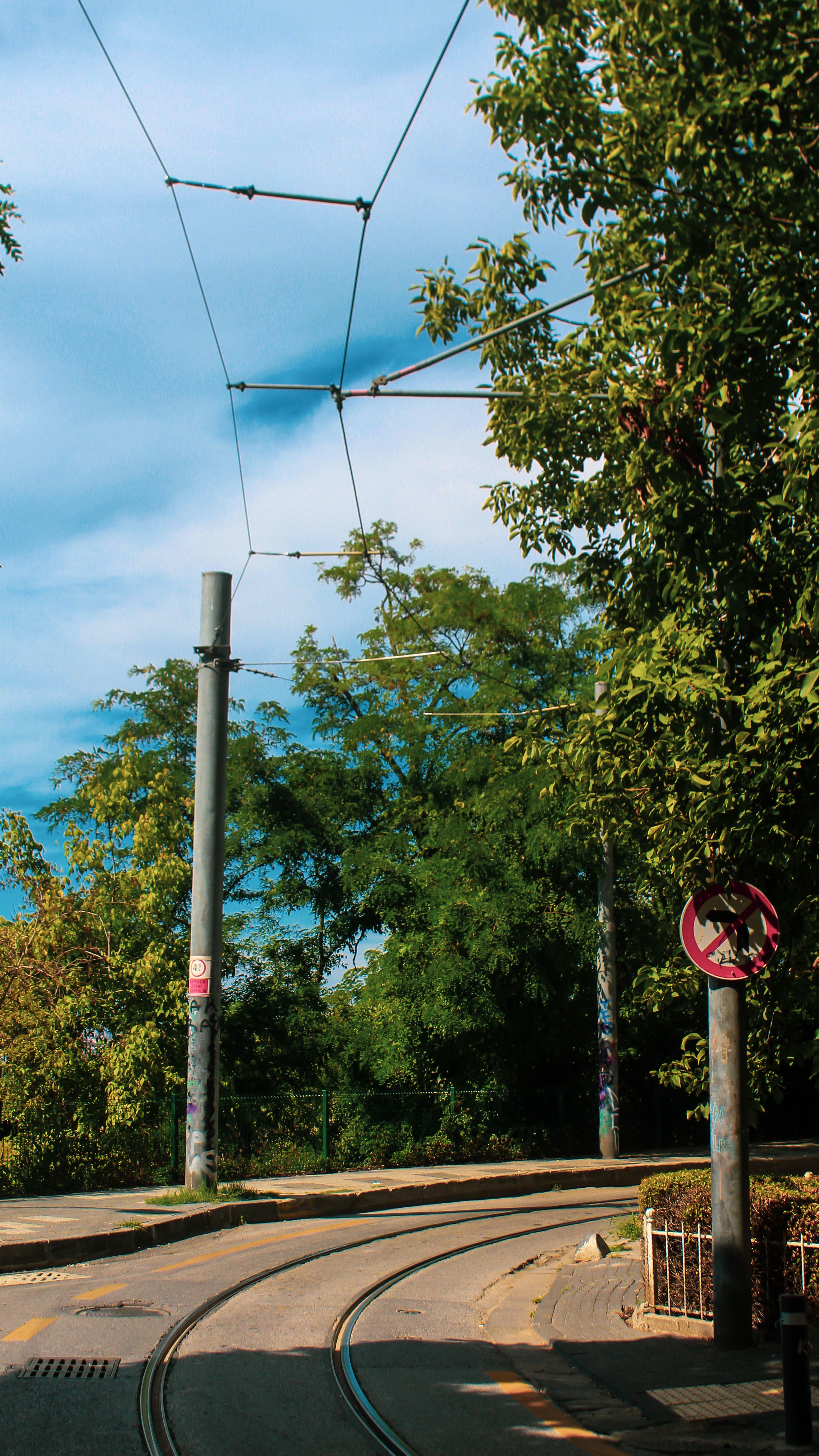 Serene Tramway Tracks in Lush Urban Setting · Free Stock Photo