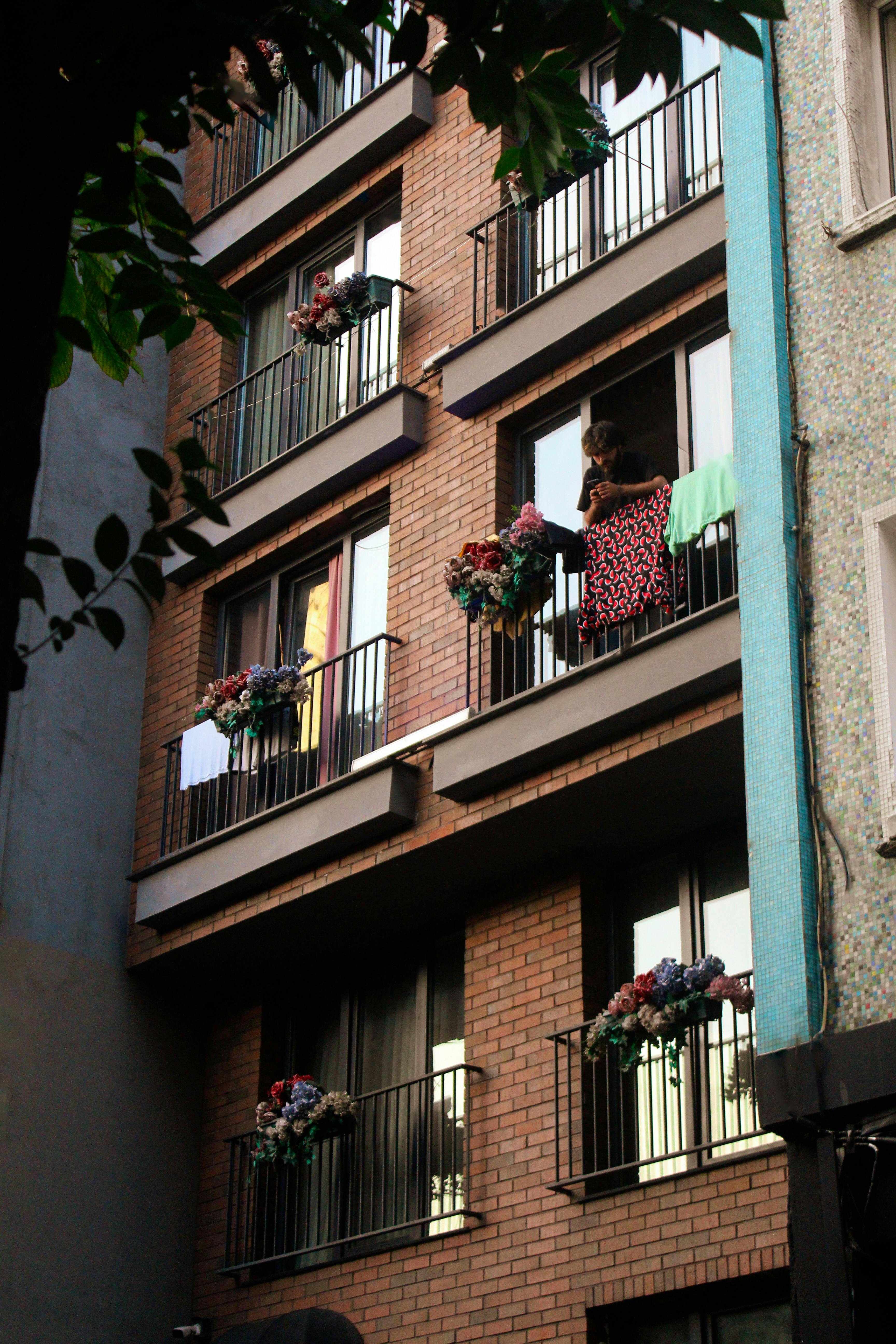 Neighbor Fight Photos, Download The BEST Free Neighbor Fight Stock ...