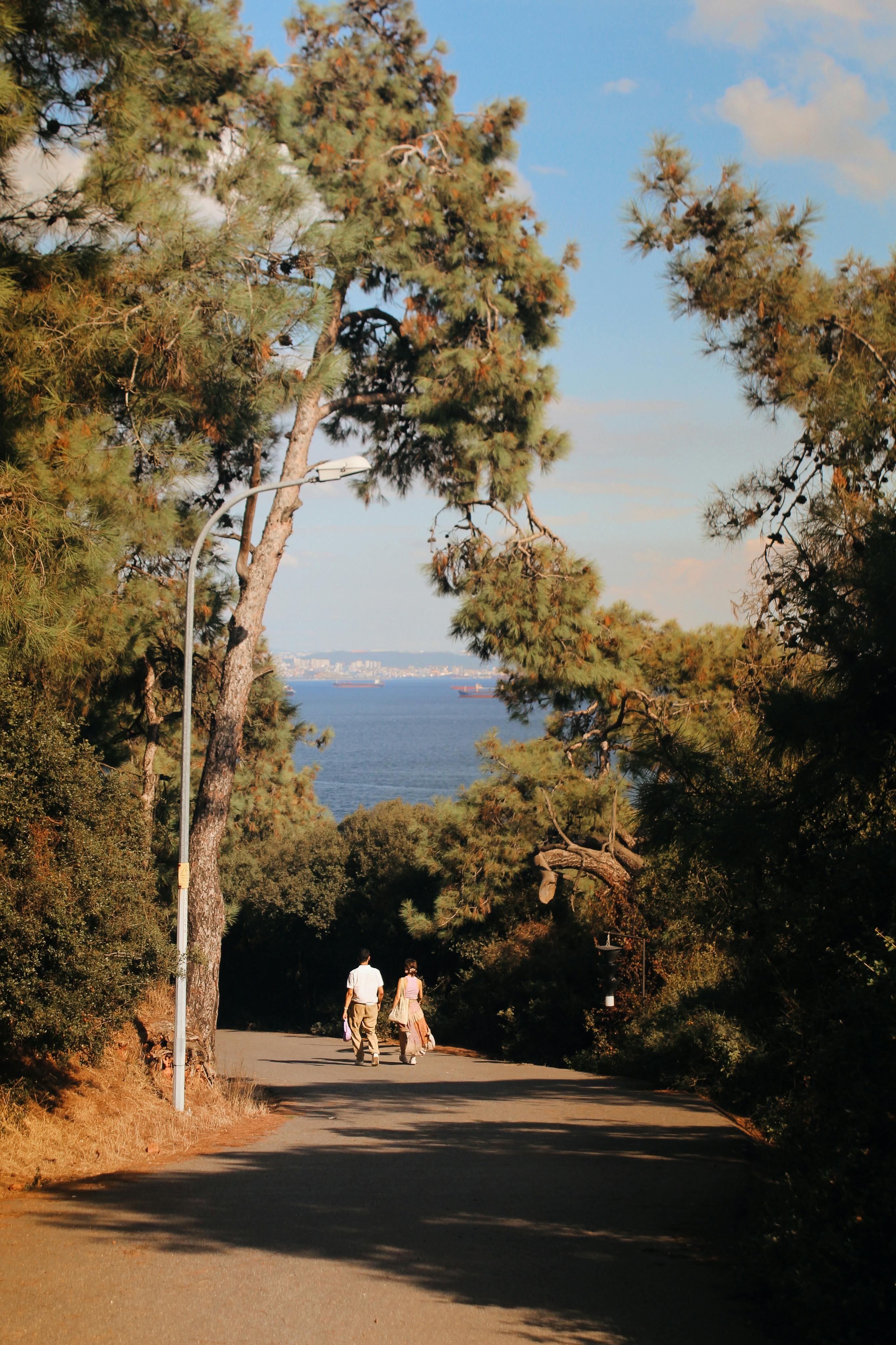 Sea View Photos, Download The BEST Free Sea View Stock Photos & HD Images