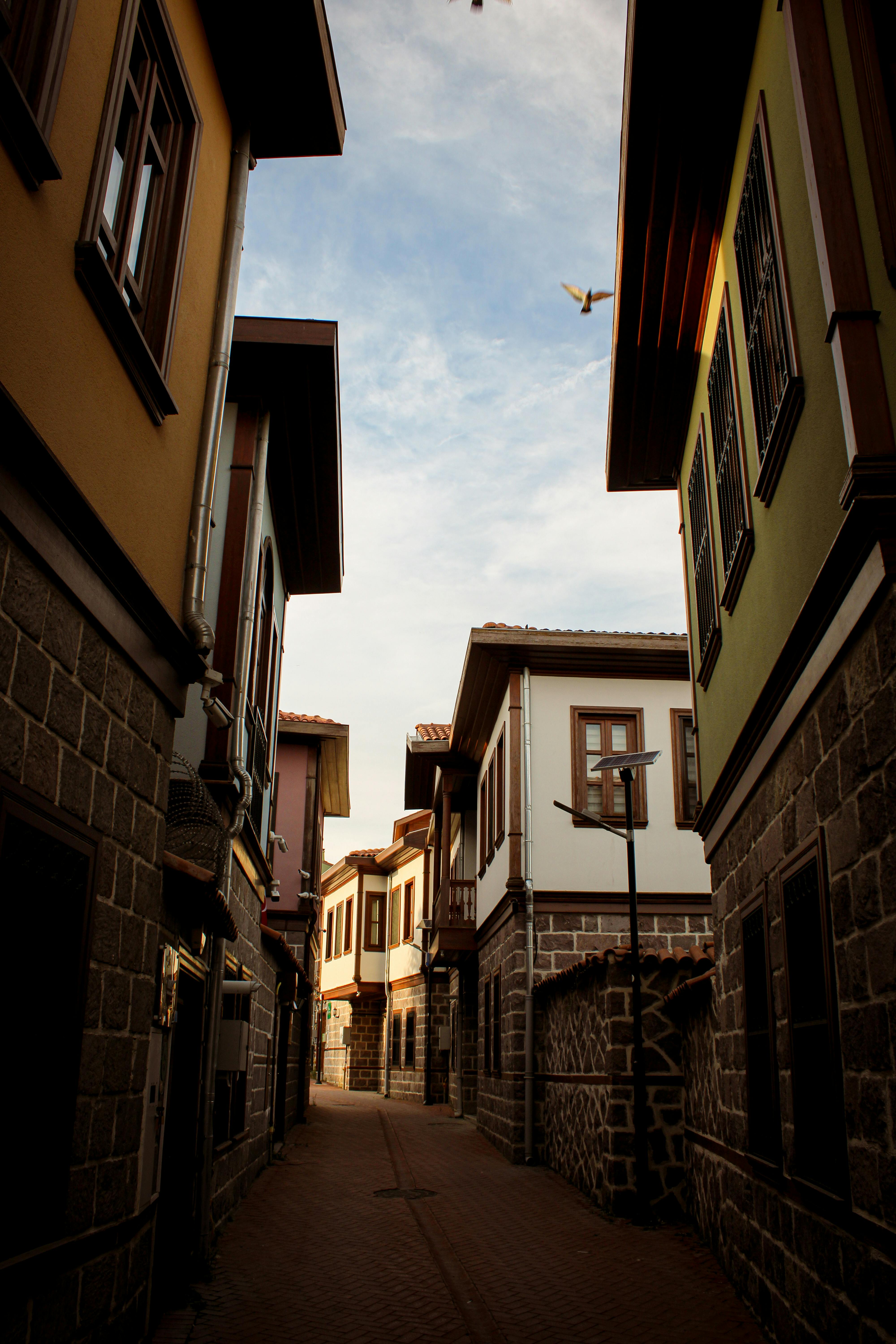 Neighborhood Street Photos, Download The BEST Free Neighborhood Street ...