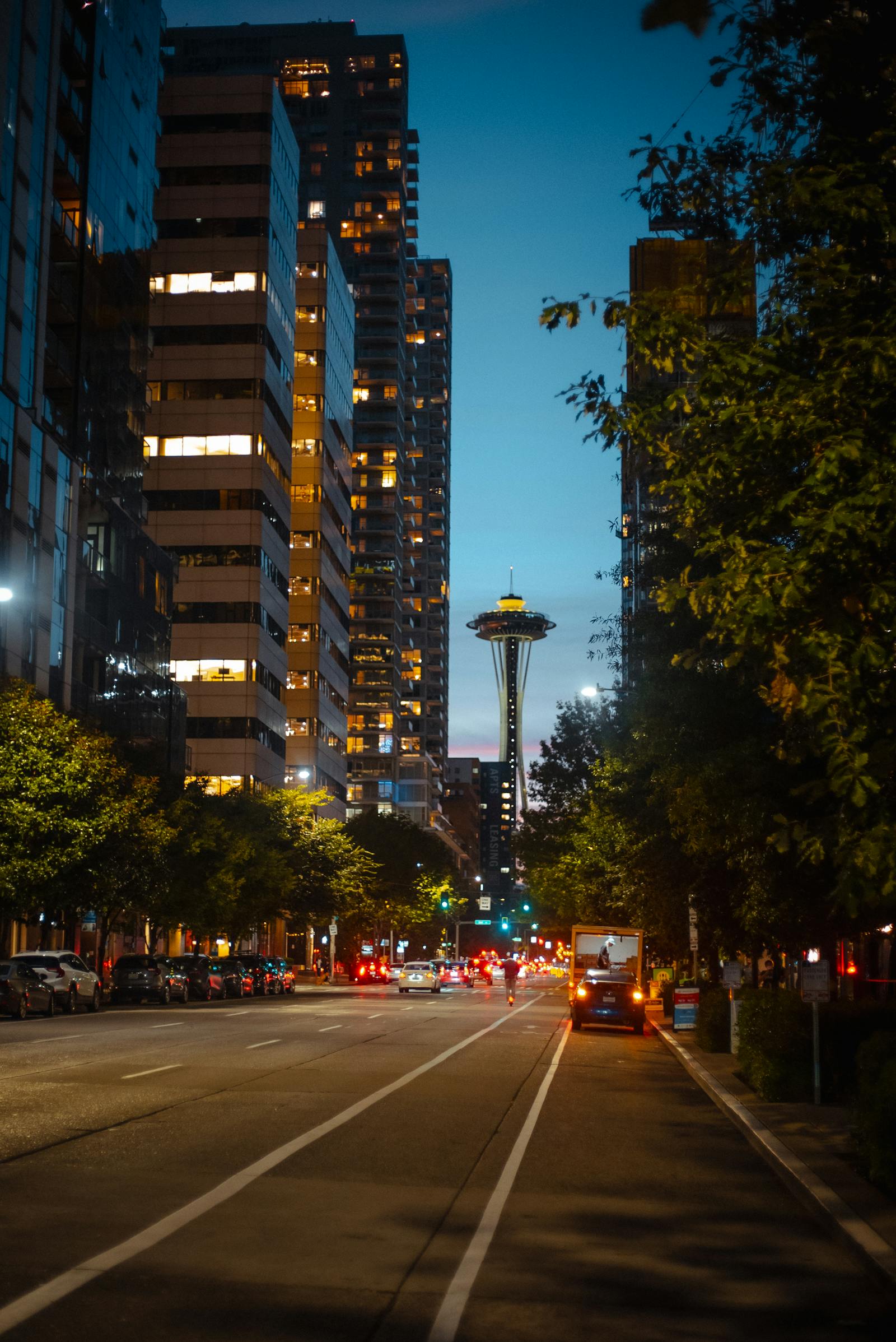 Seattle Skyline At Night Photos, Download The BEST Free Seattle Skyline ...