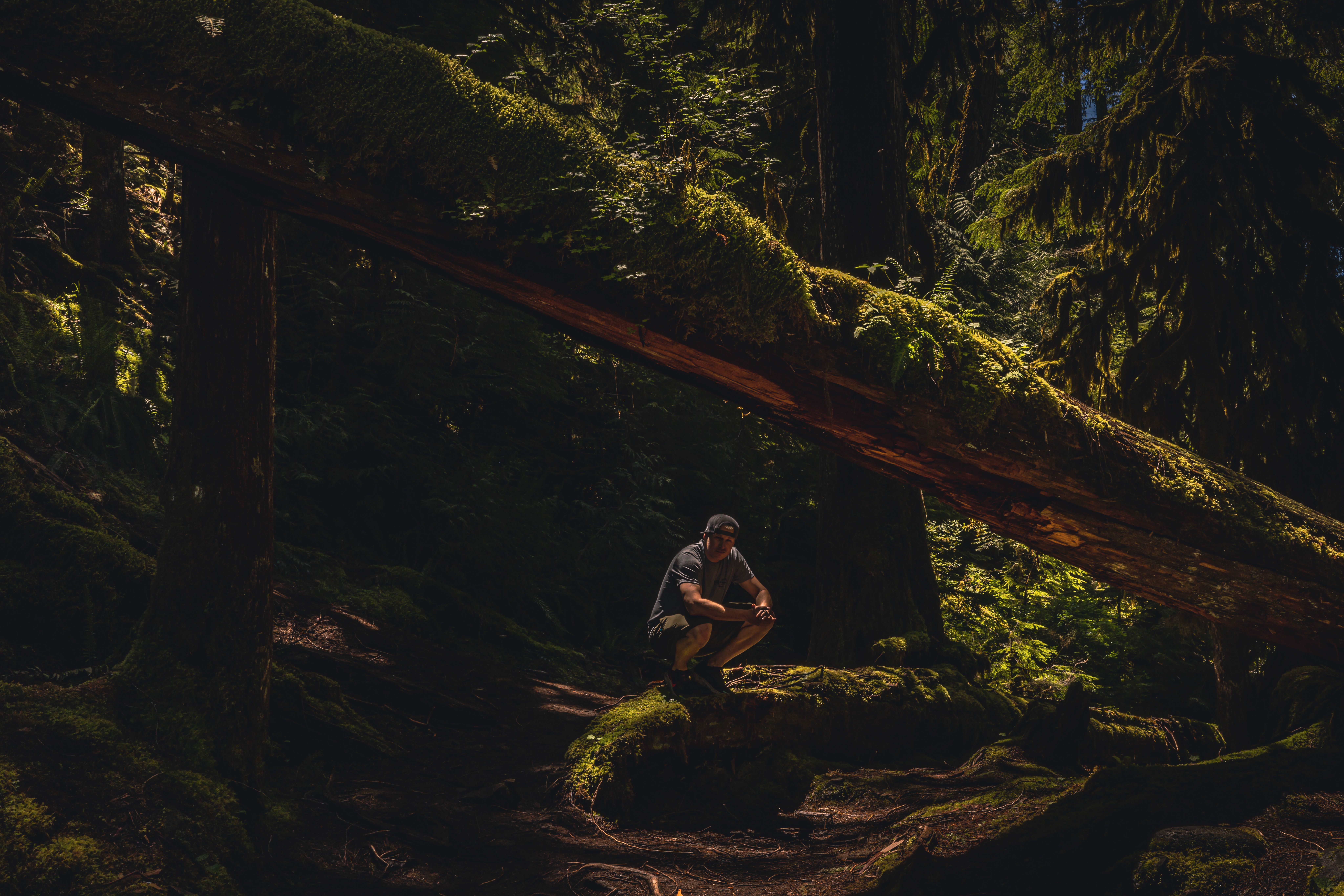 Man Exploring Mossy Forest Under Fallen Tree · Free Stock Photo