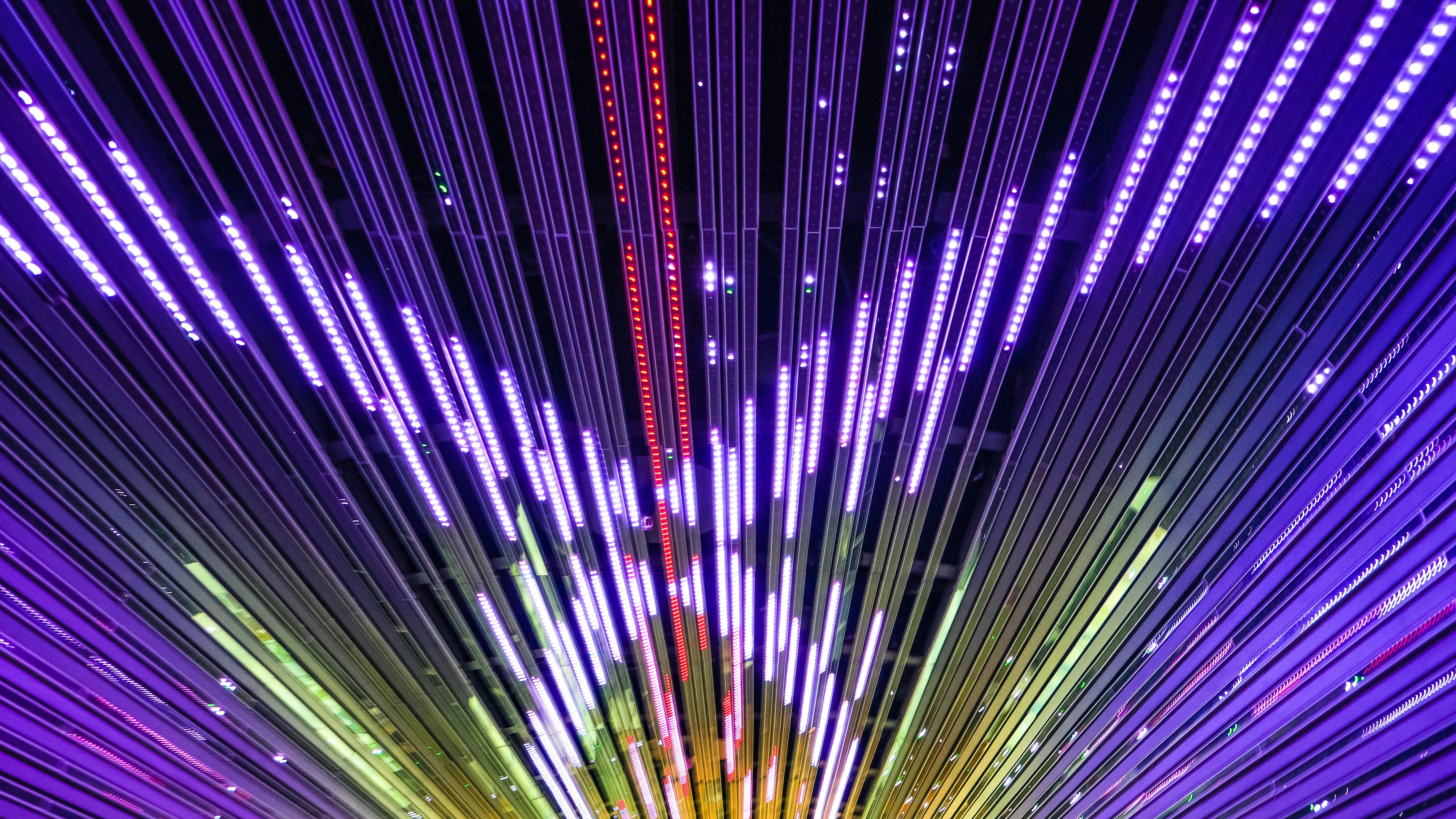 Free stock photo of background, bright, city