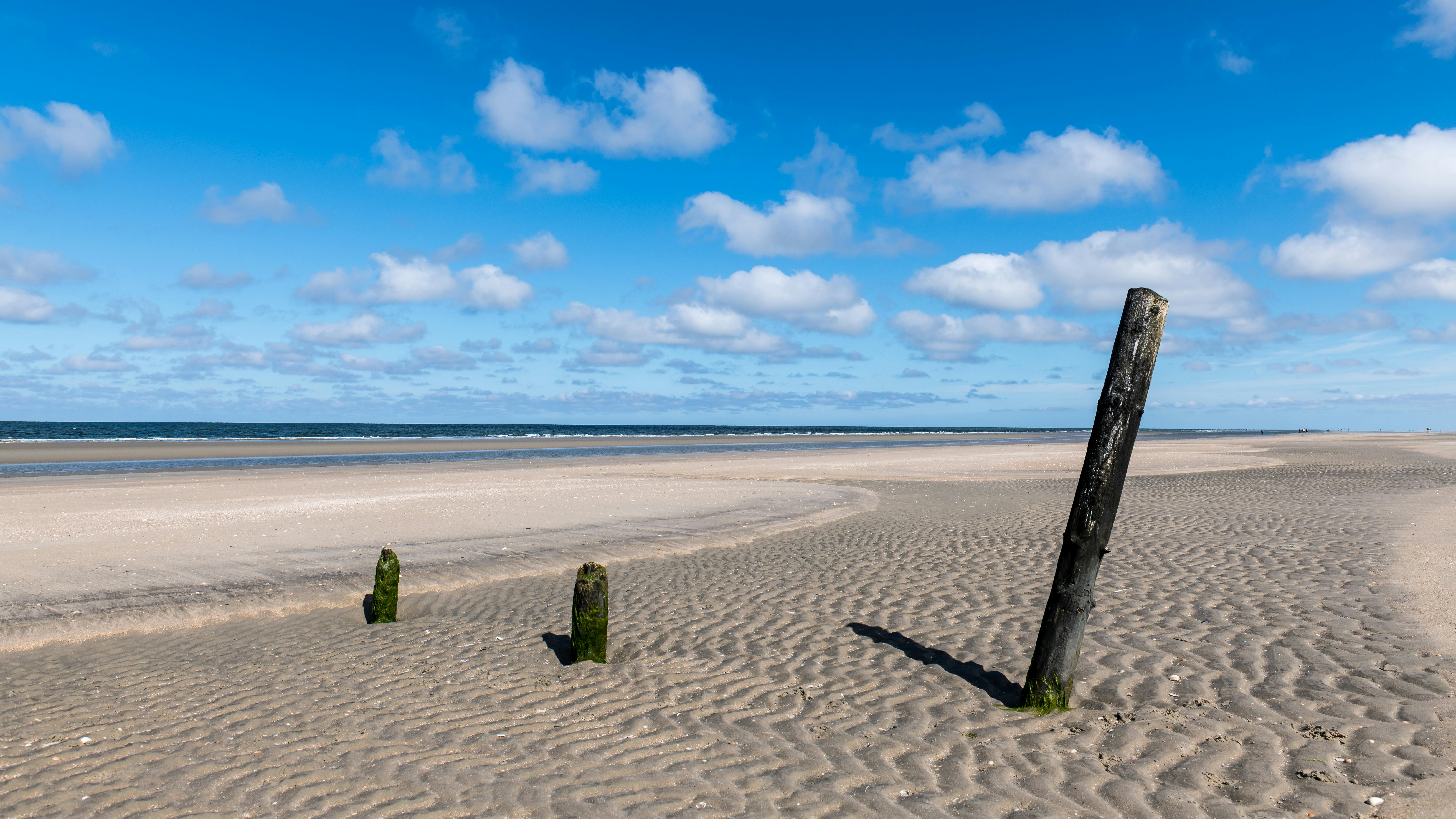 Tranquil Sandy Shoreline in Henne Kirkeby, Denmark · Free Stock Photo