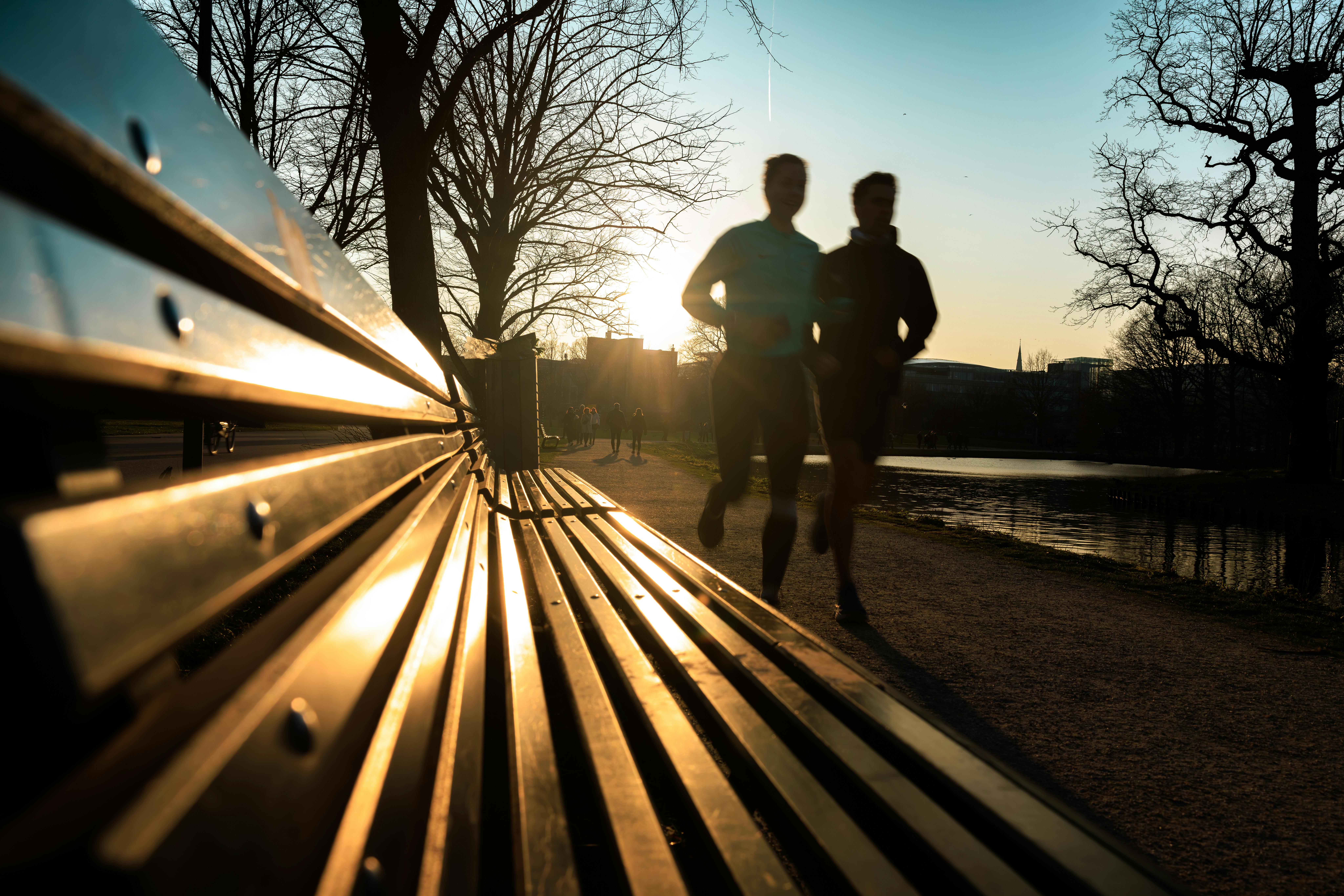Joggers in Park at Sunset with Bench Perspective · Free Stock Photo