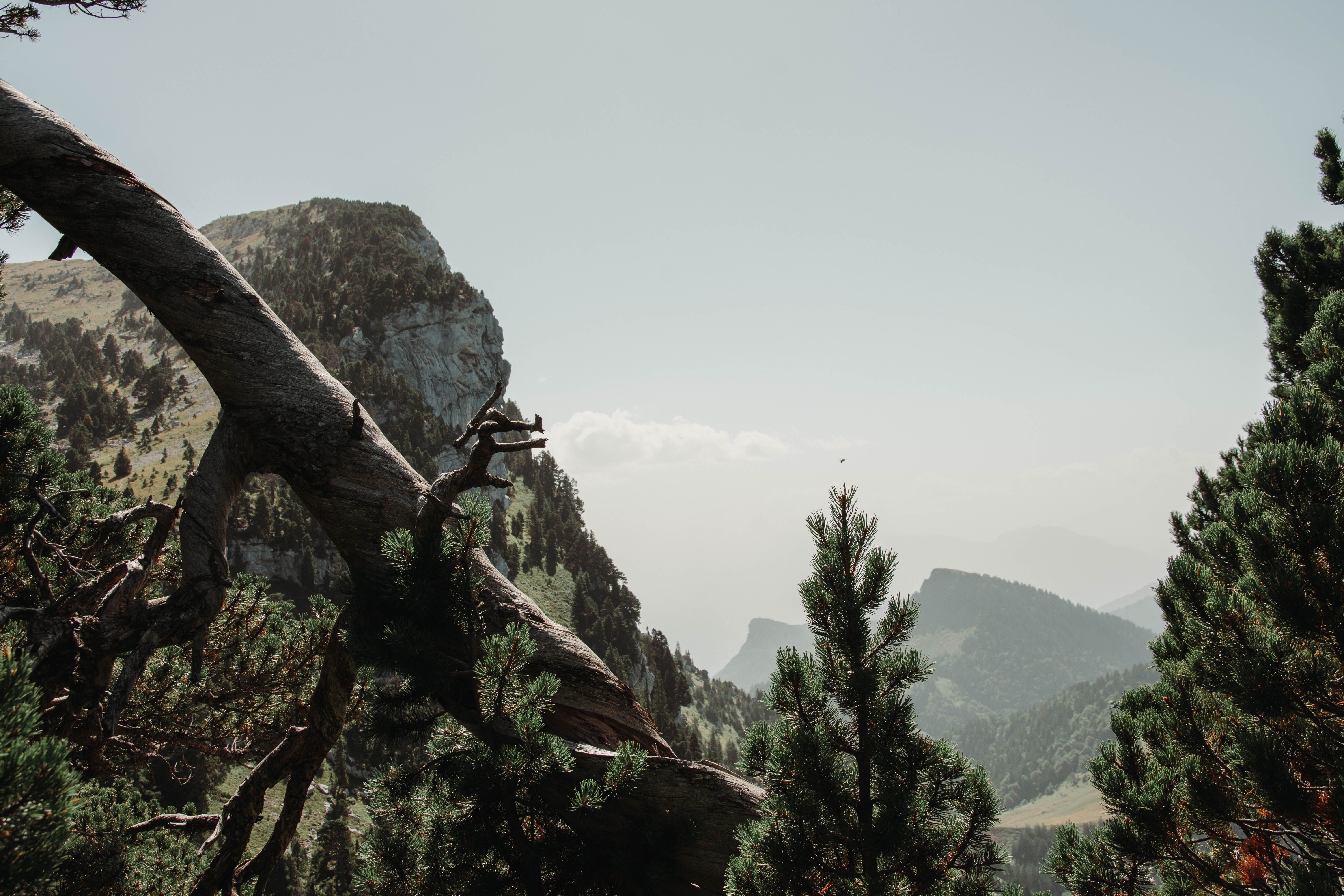 Scenic Mountain View in Crolles, France · Free Stock Photo