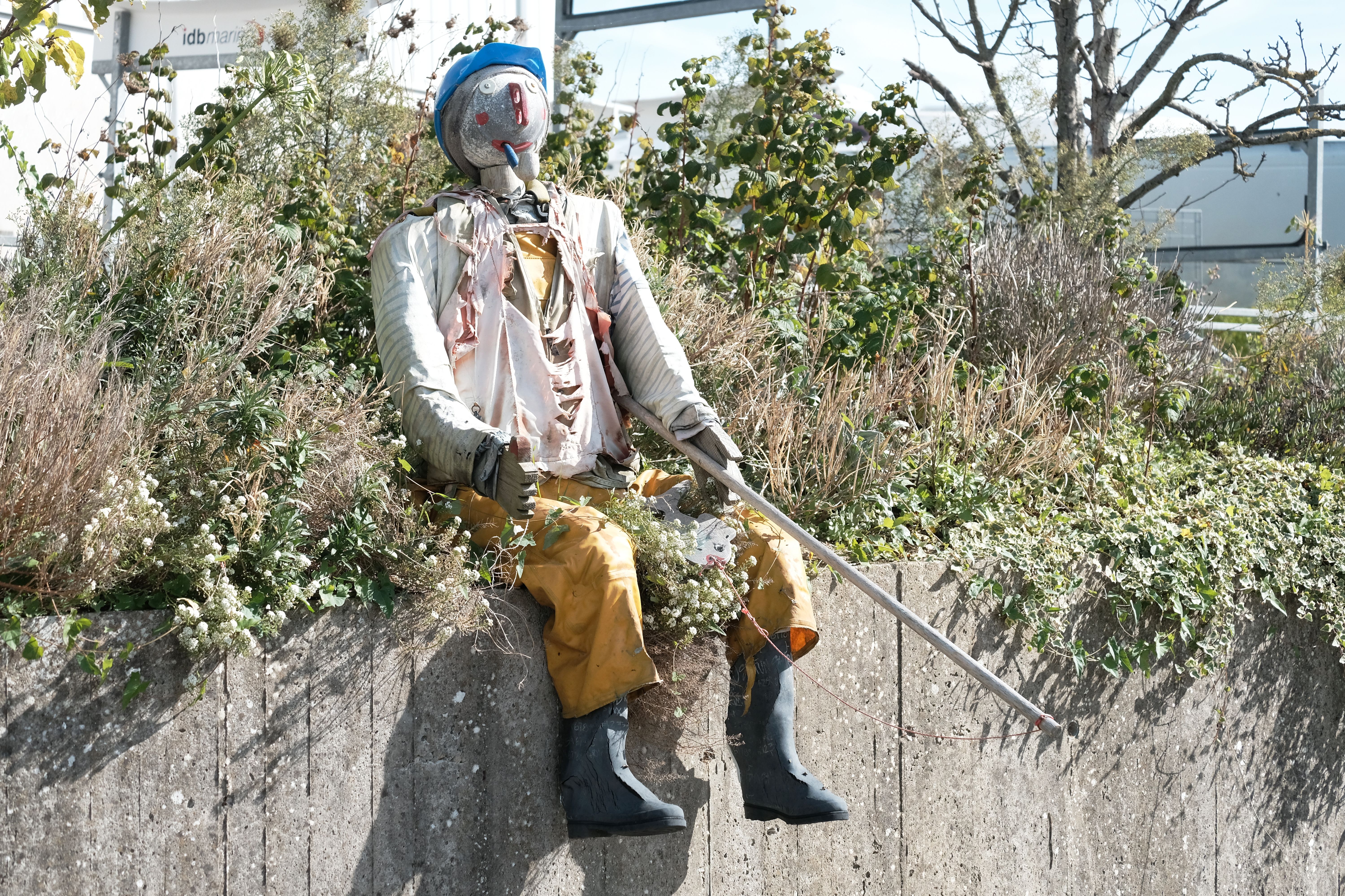 Quirky Scarecrow in Garden Attire with Blue Hat · Free Stock Photo
