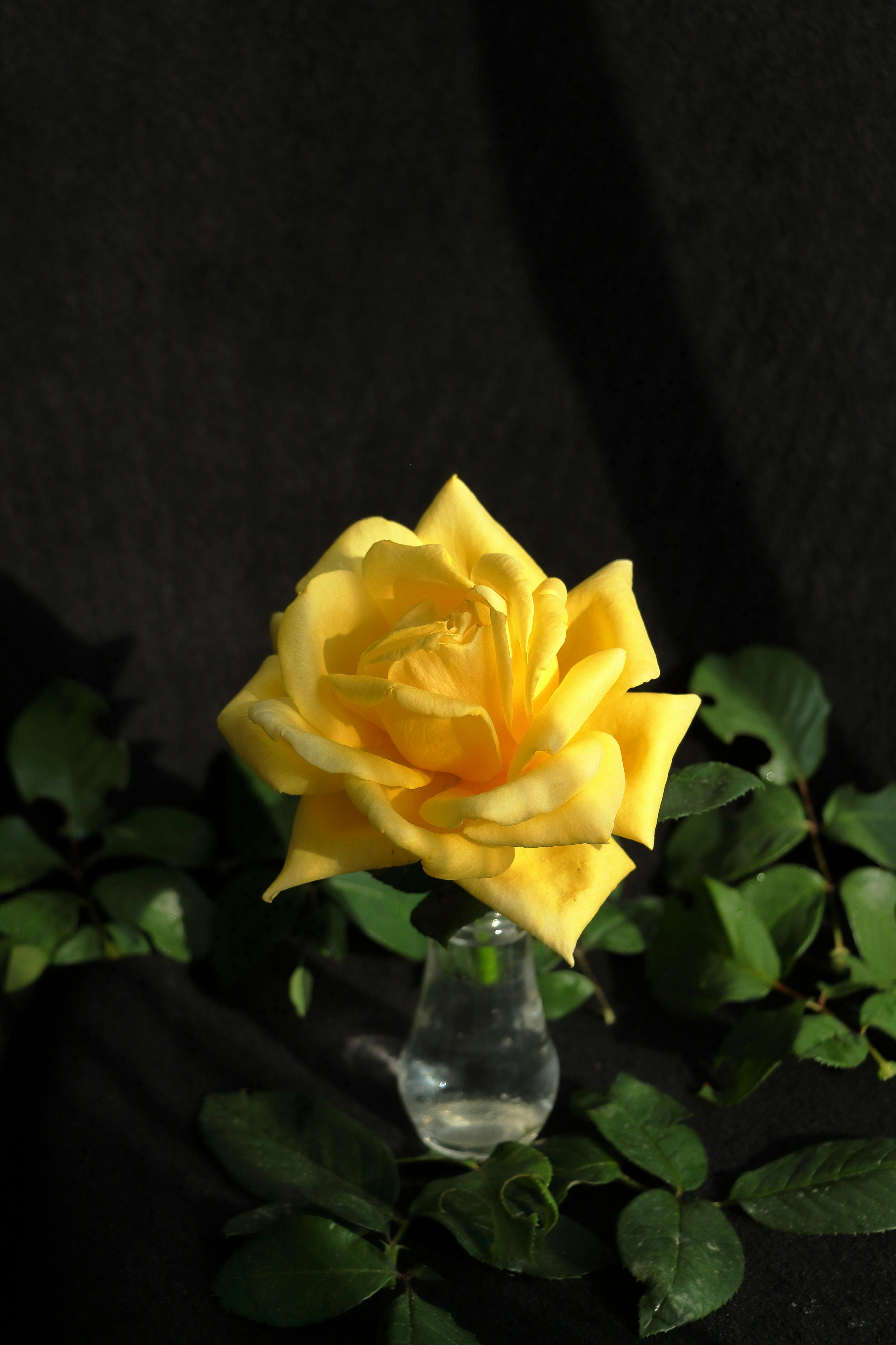 Single Page Photos, Download The BEST Free Single Page Stock Photos ...