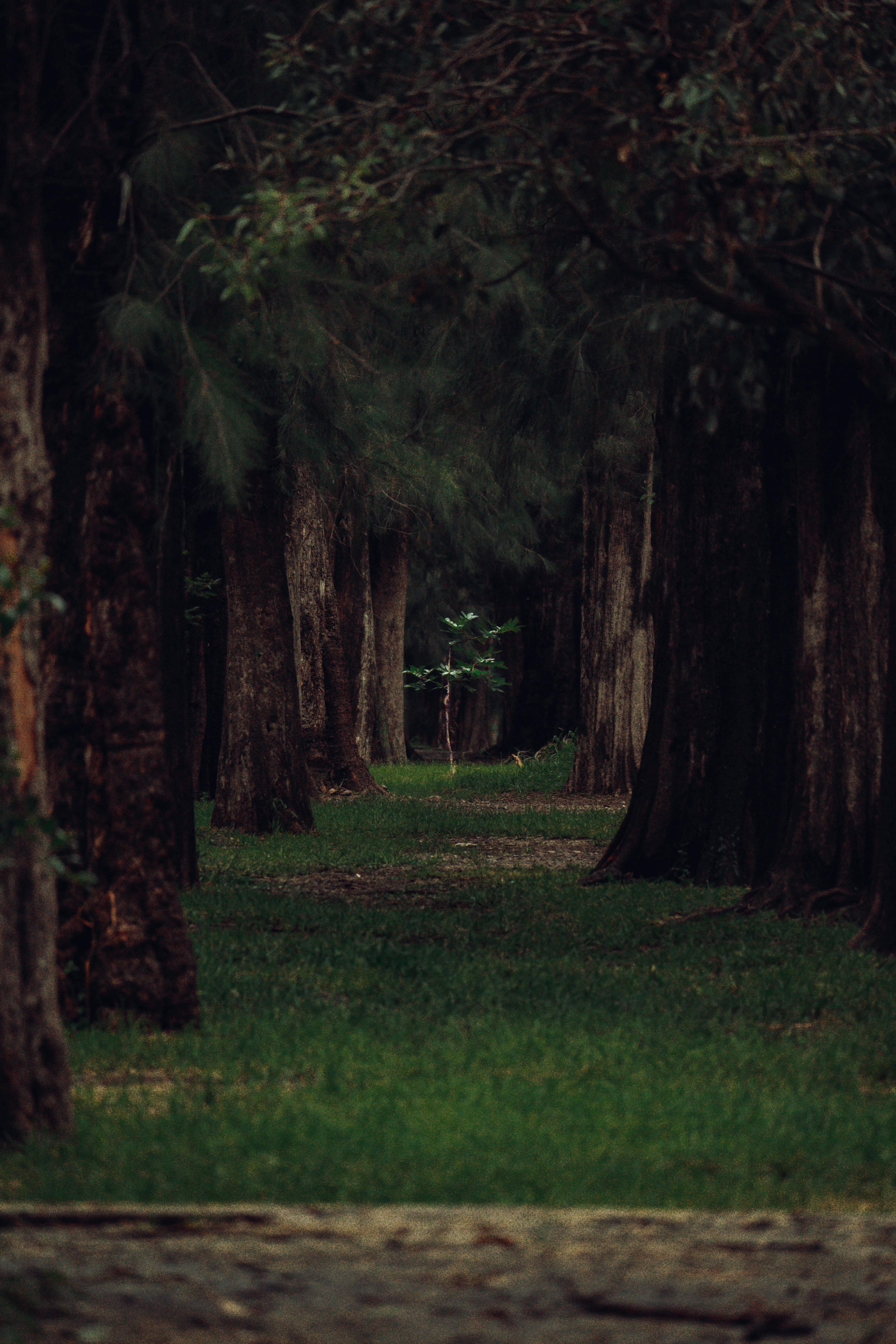 Beautiful Gateway Photos, Download The BEST Free Beautiful Gateway ...