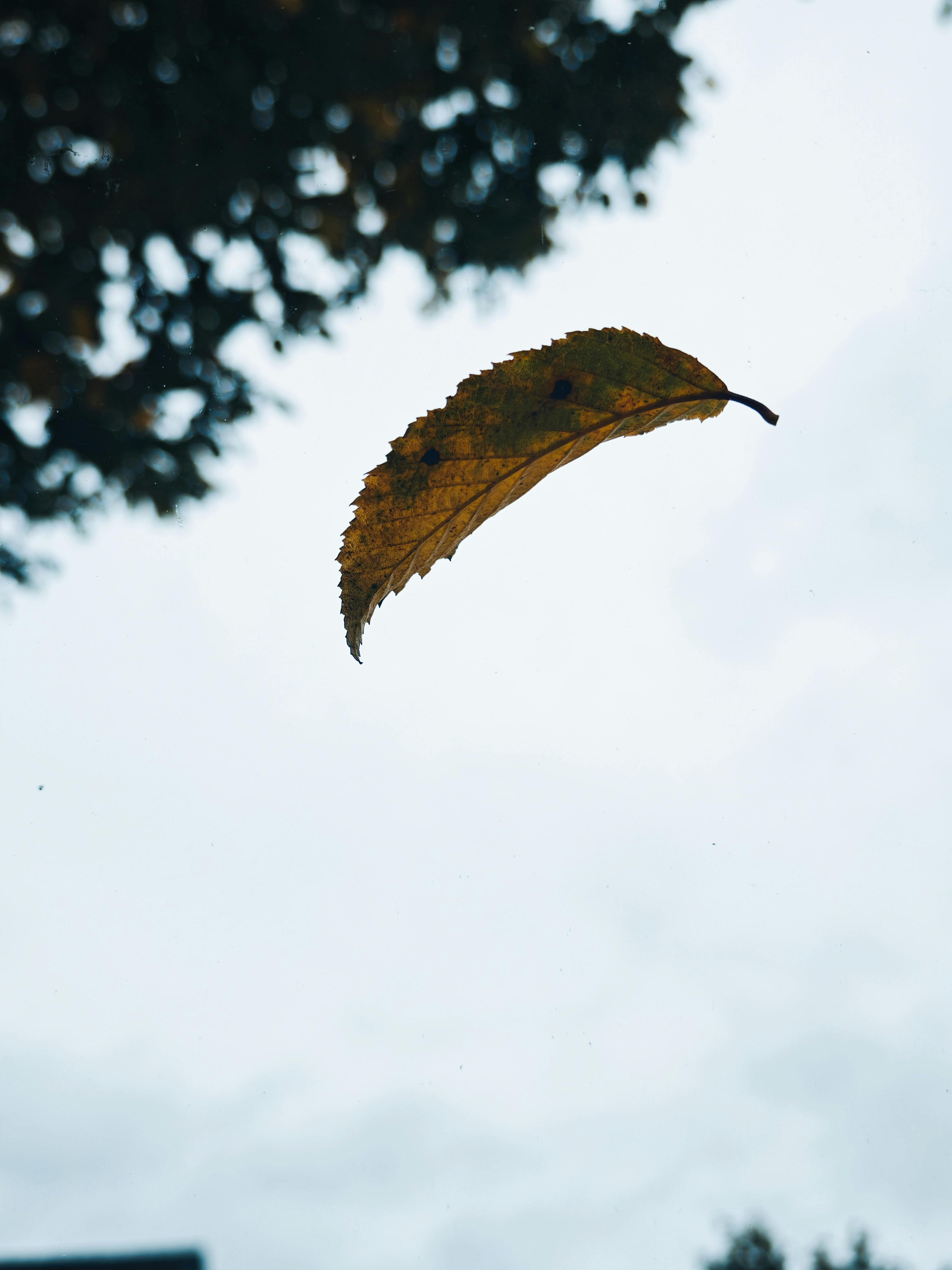 Object In Motion Photos, Download The BEST Free Object In Motion Stock ...