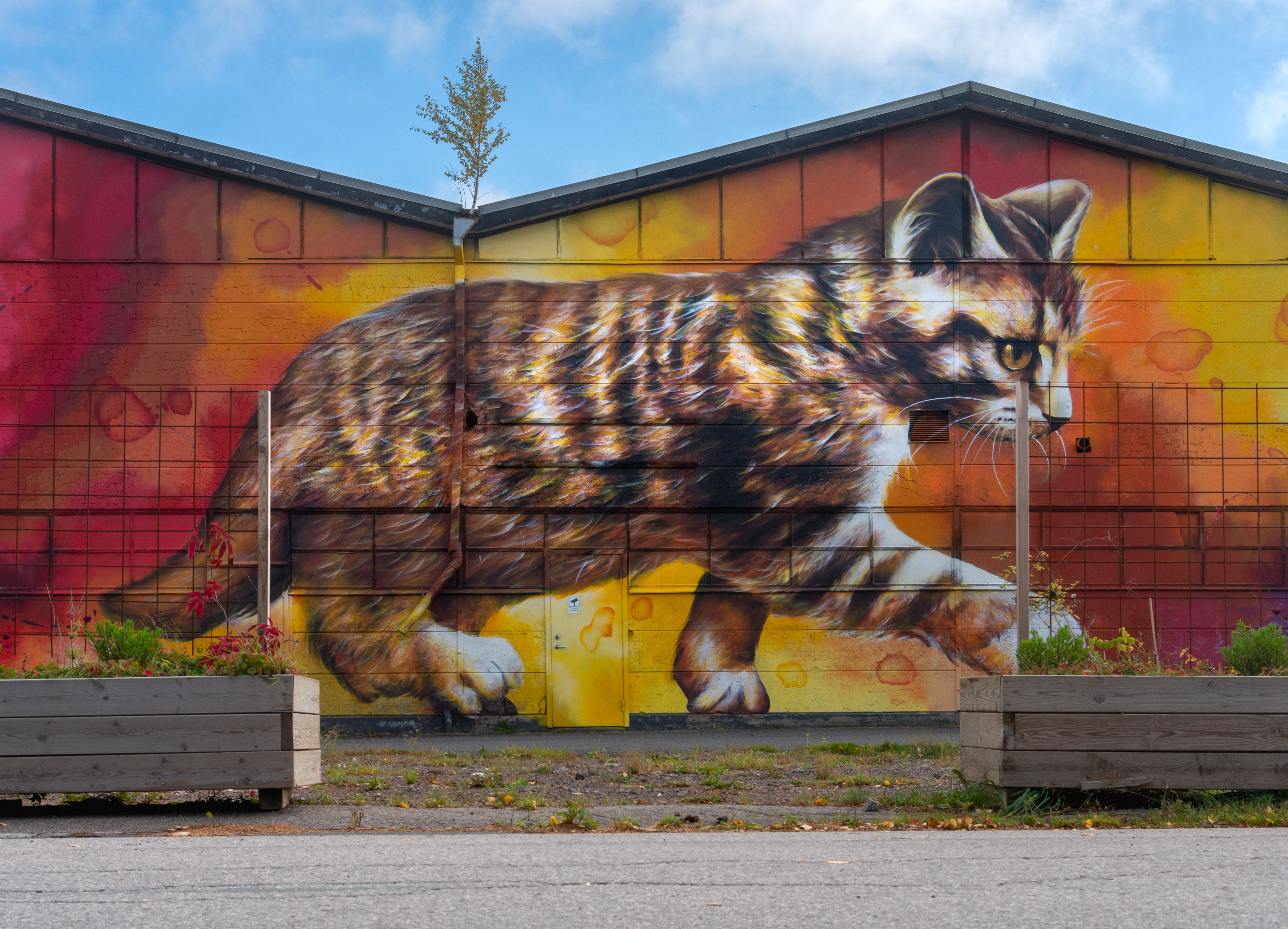 Colorful Cat Mural on Warehouse in Jönköping · Free Stock Photo