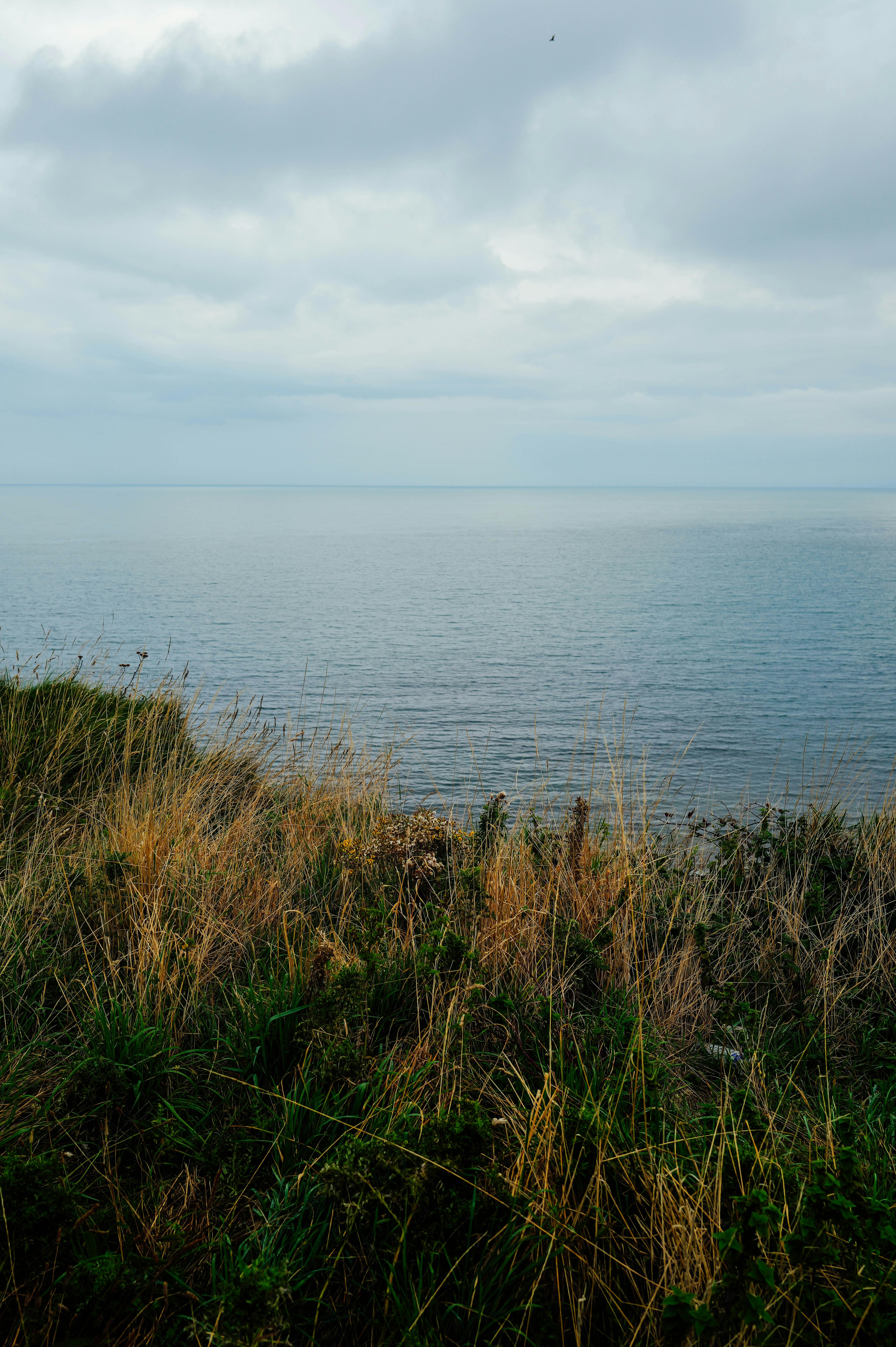 Serene Coastal Clifftop Overlooking Calm Sea · Free Stock Photo