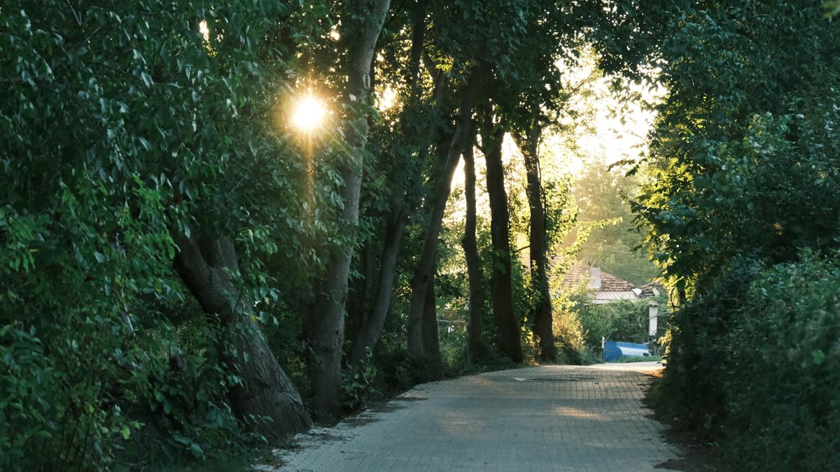 Morning Sunrise Photos, Download The BEST Free Morning Sunrise Stock ...