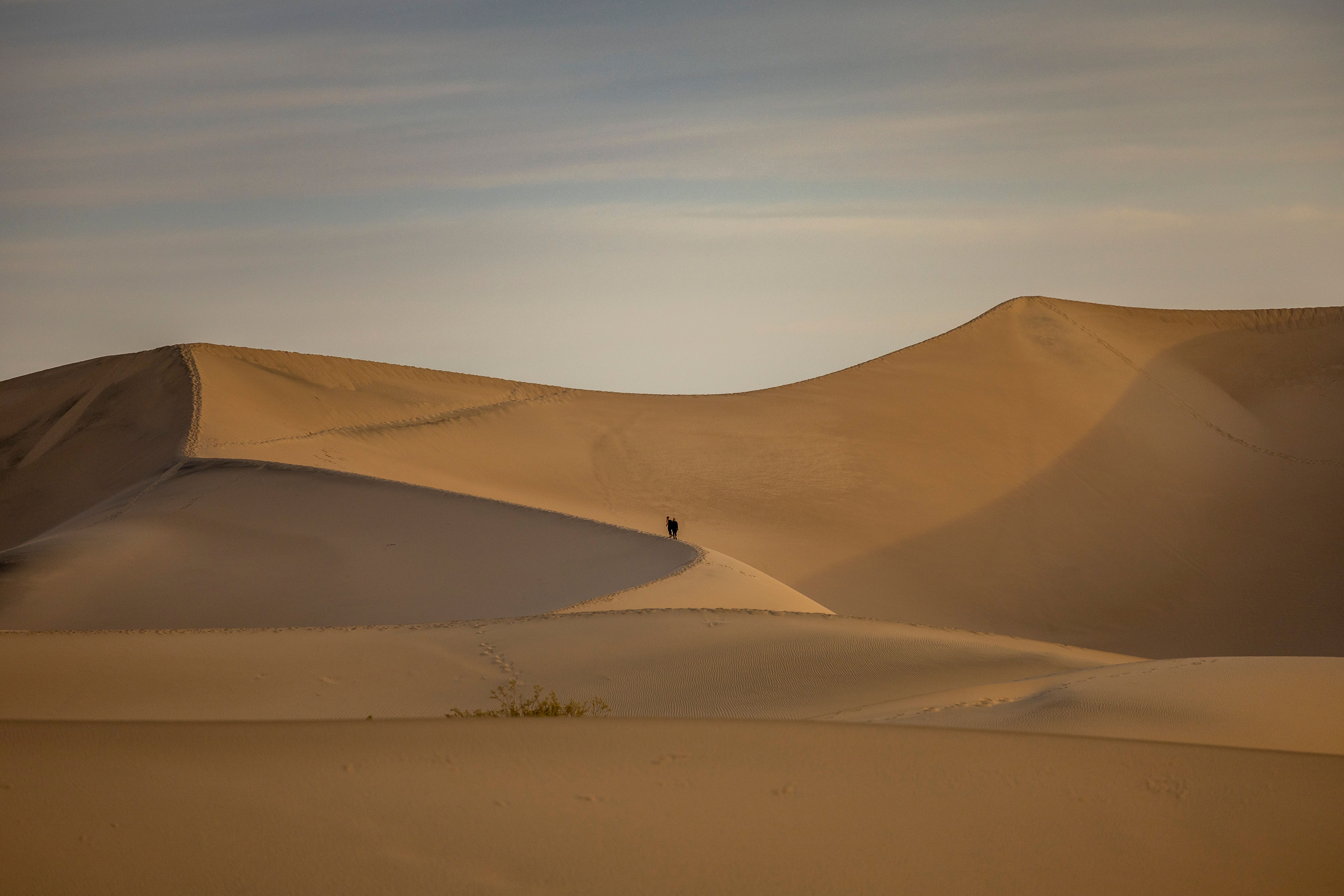 Desert Field · Free Stock Photo
