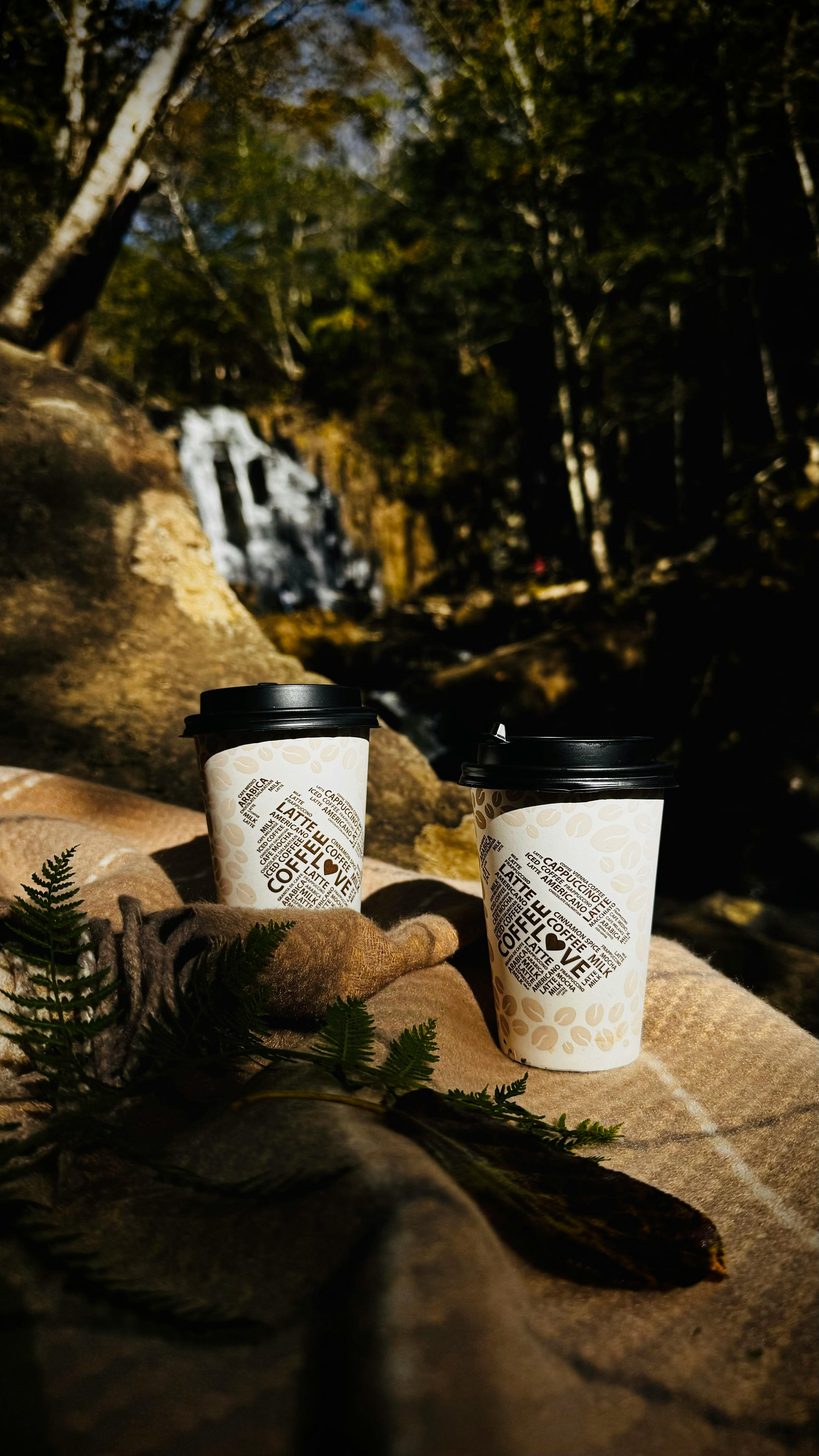 Cozy Coffee Cups in Forest Picnic Setting · Free Stock Photo