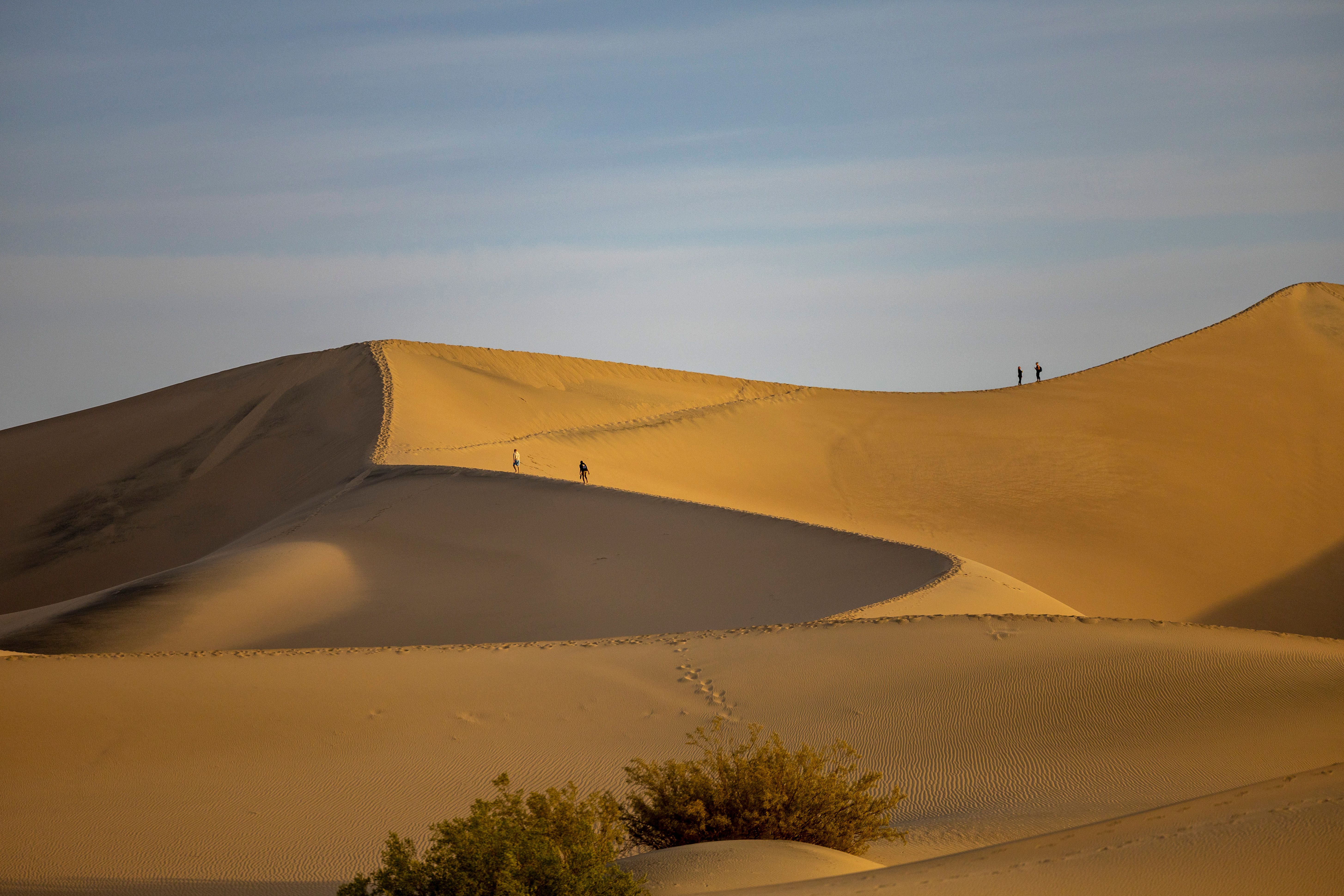 Dunas Doradas Del Desierto Bajo Un Cielo Azul · Foto de stock gratuita