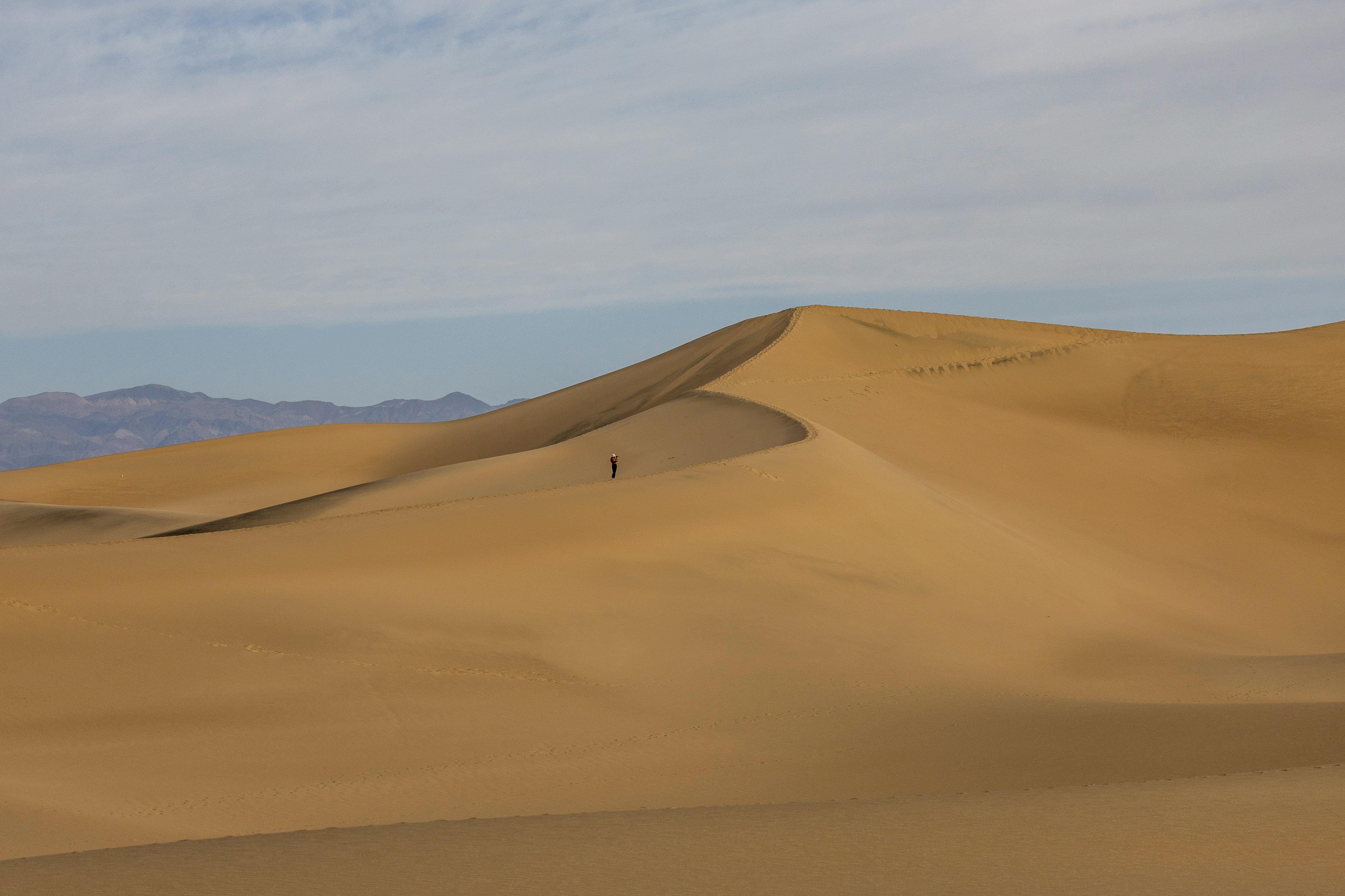 Expansive Desert Sand Dunes Landscape · Free Stock Photo