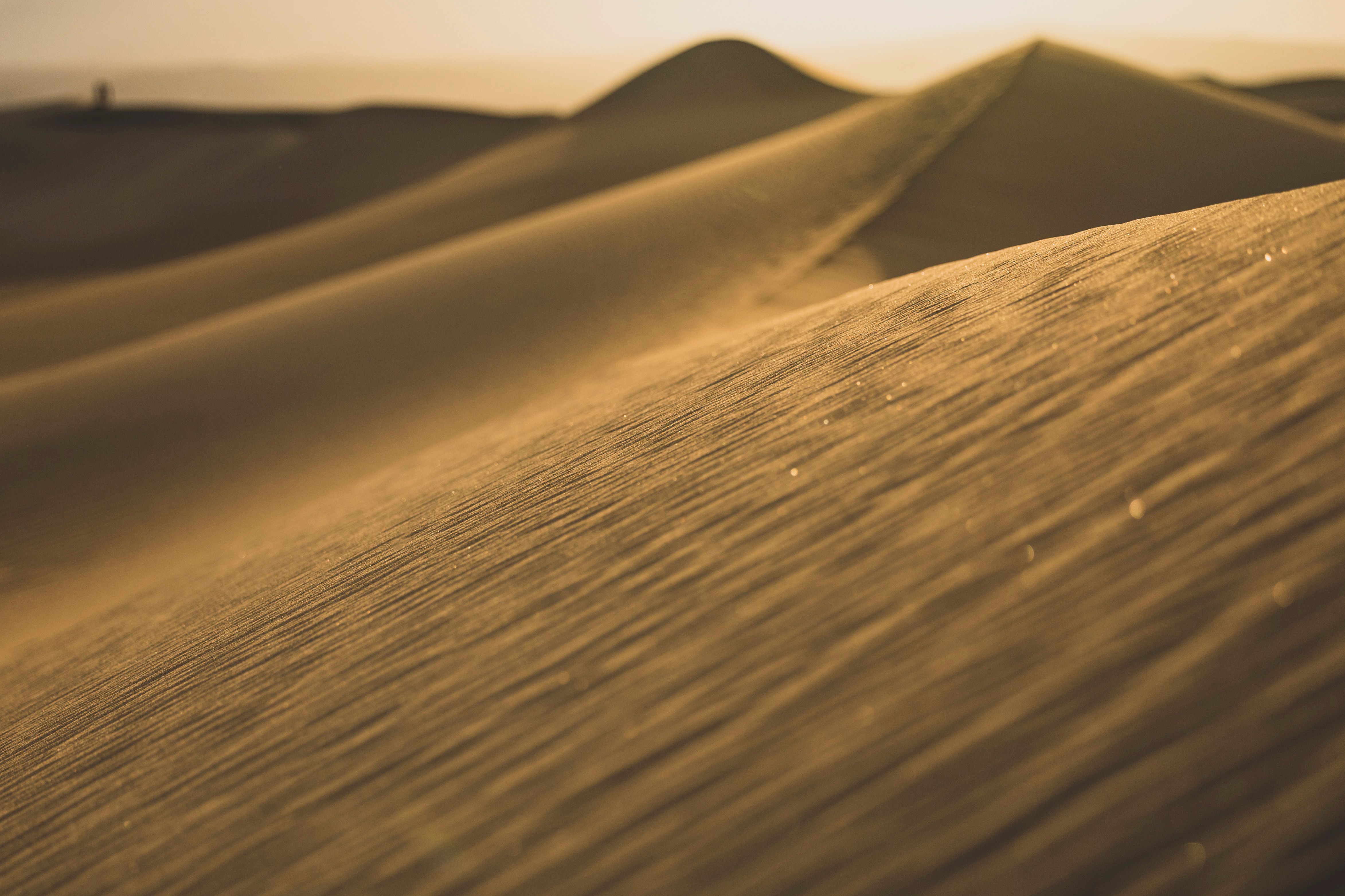 Golden Sand Dunes at Sunset · Free Stock Photo
