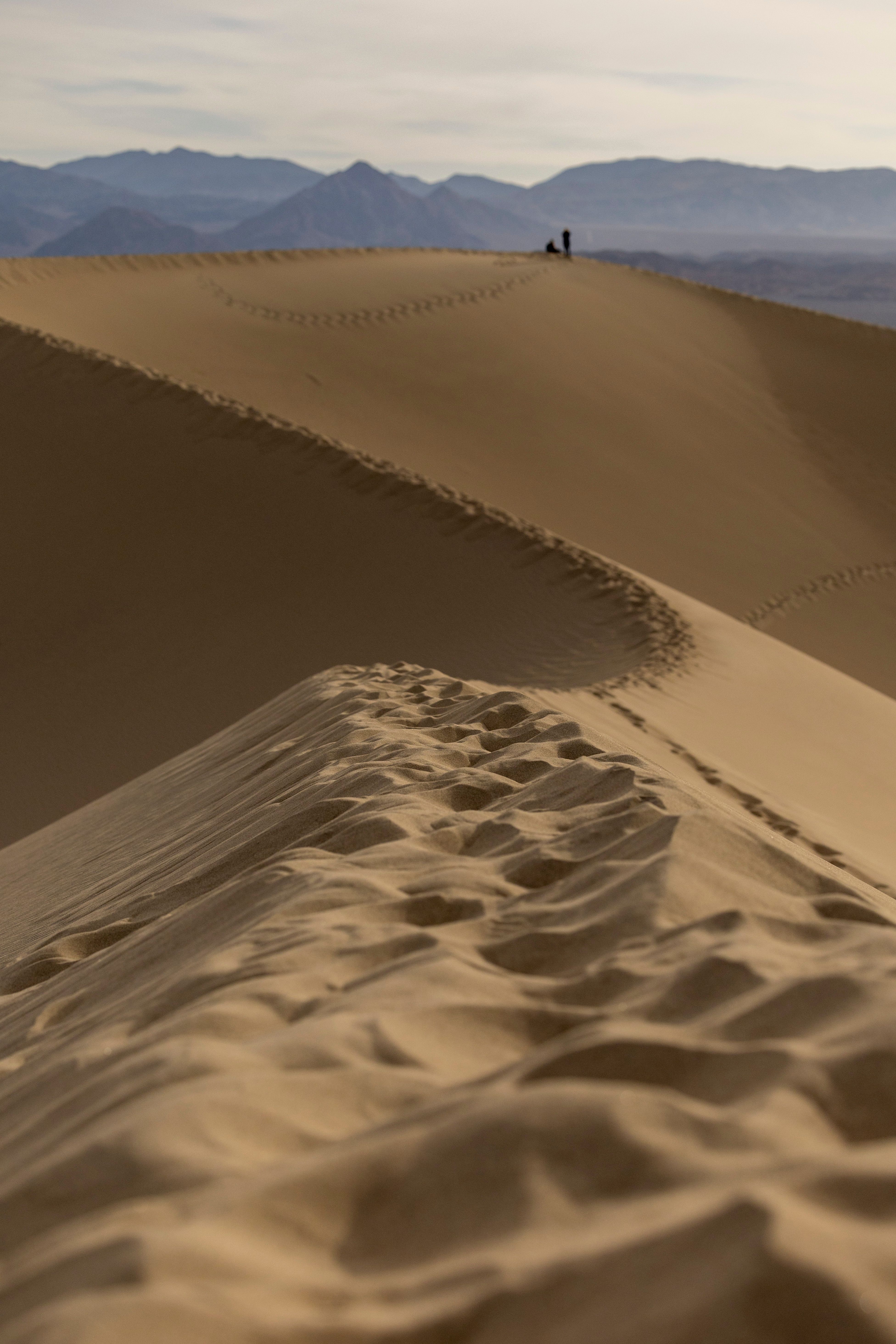 Golden Sand Dunes in Vast Desert Landscape · Free Stock Photo