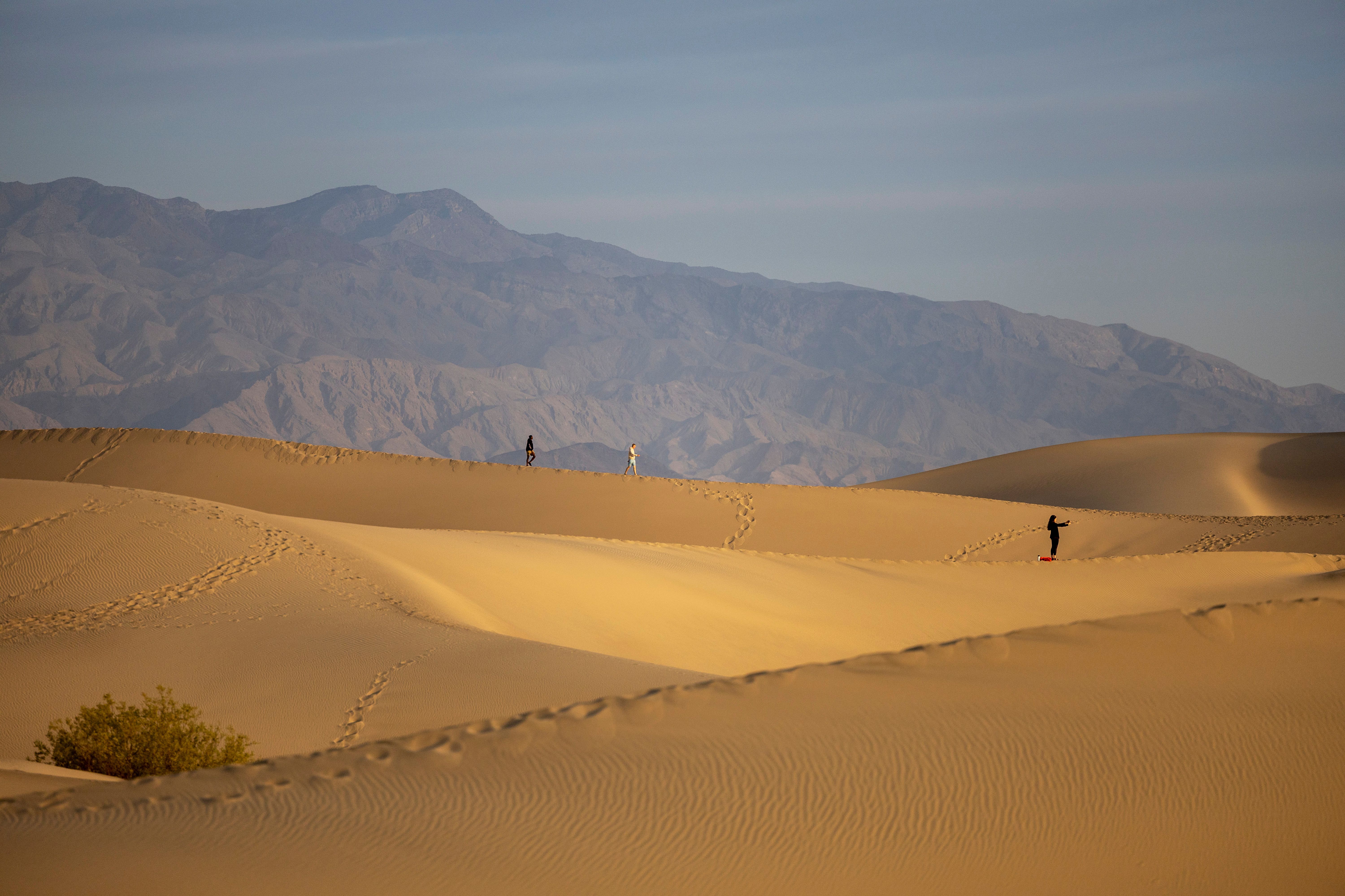 Photo of a Woman Walking on Desert · Free Stock Photo