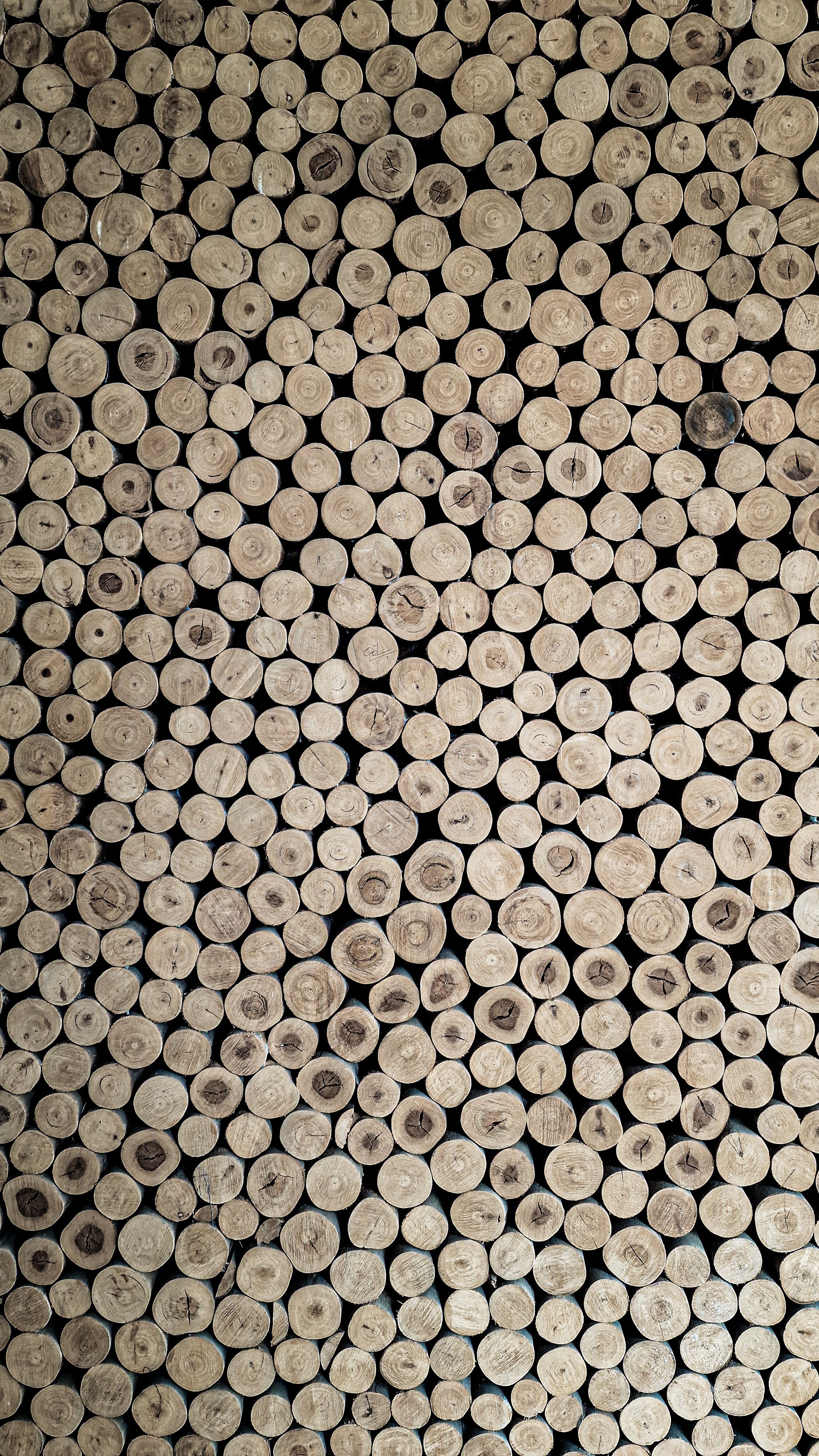 Stacked Wooden Logs Background Texture · Free Stock Photo