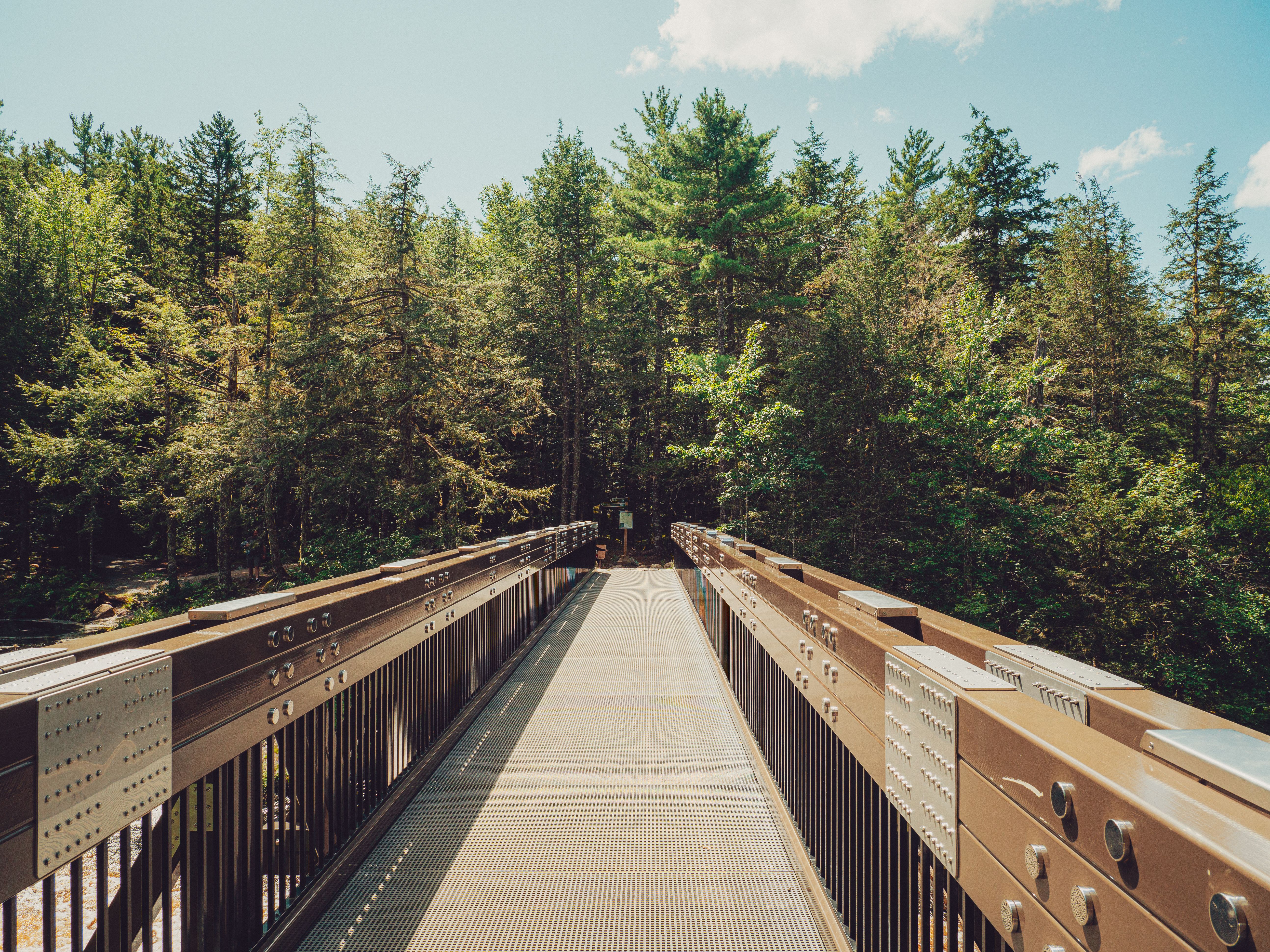 Wooden Bridge in Forested Nature Landscape · Free Stock Photo