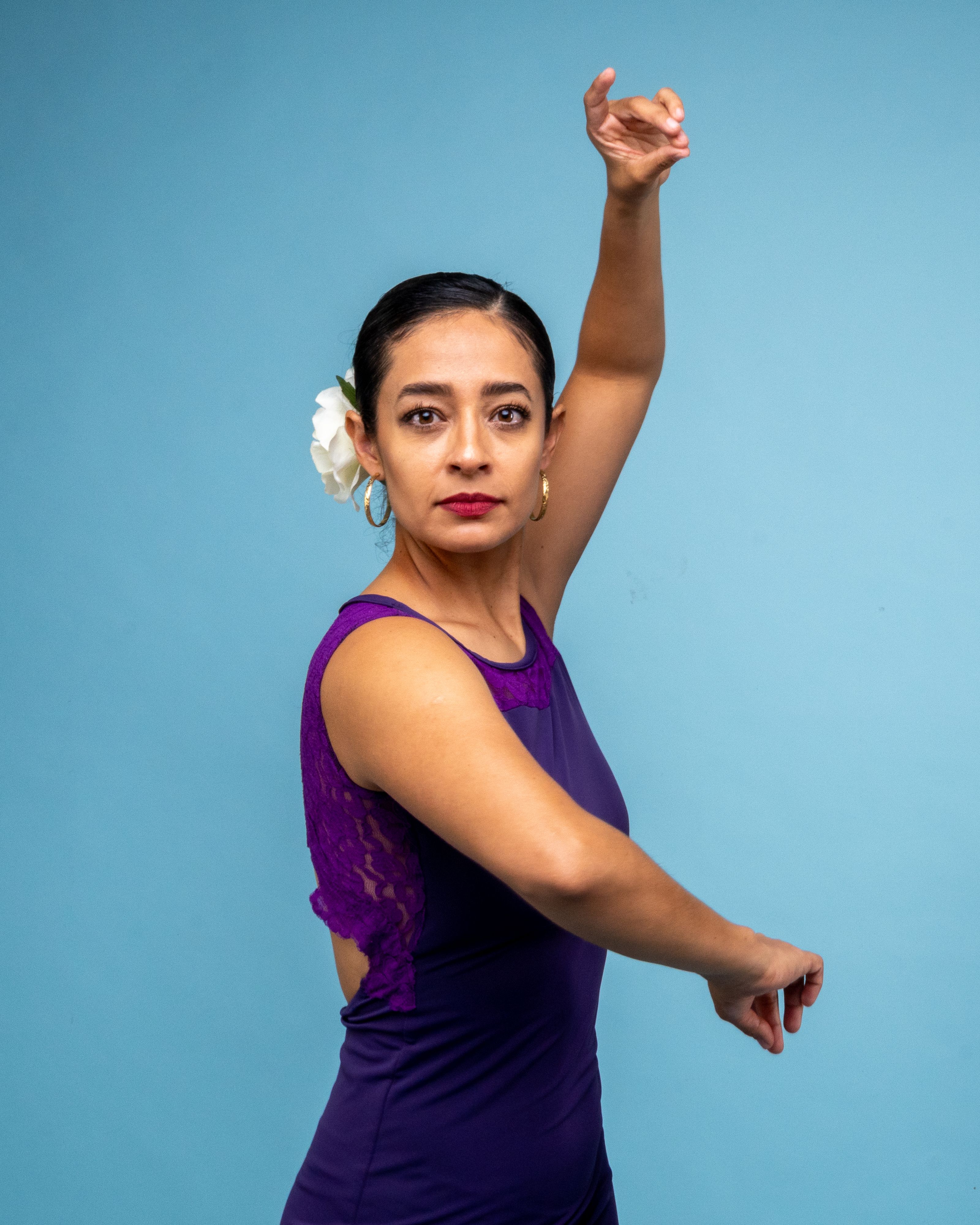 Elegant Dancer in Purple Dress Performing Flamenco · Free Stock Photo