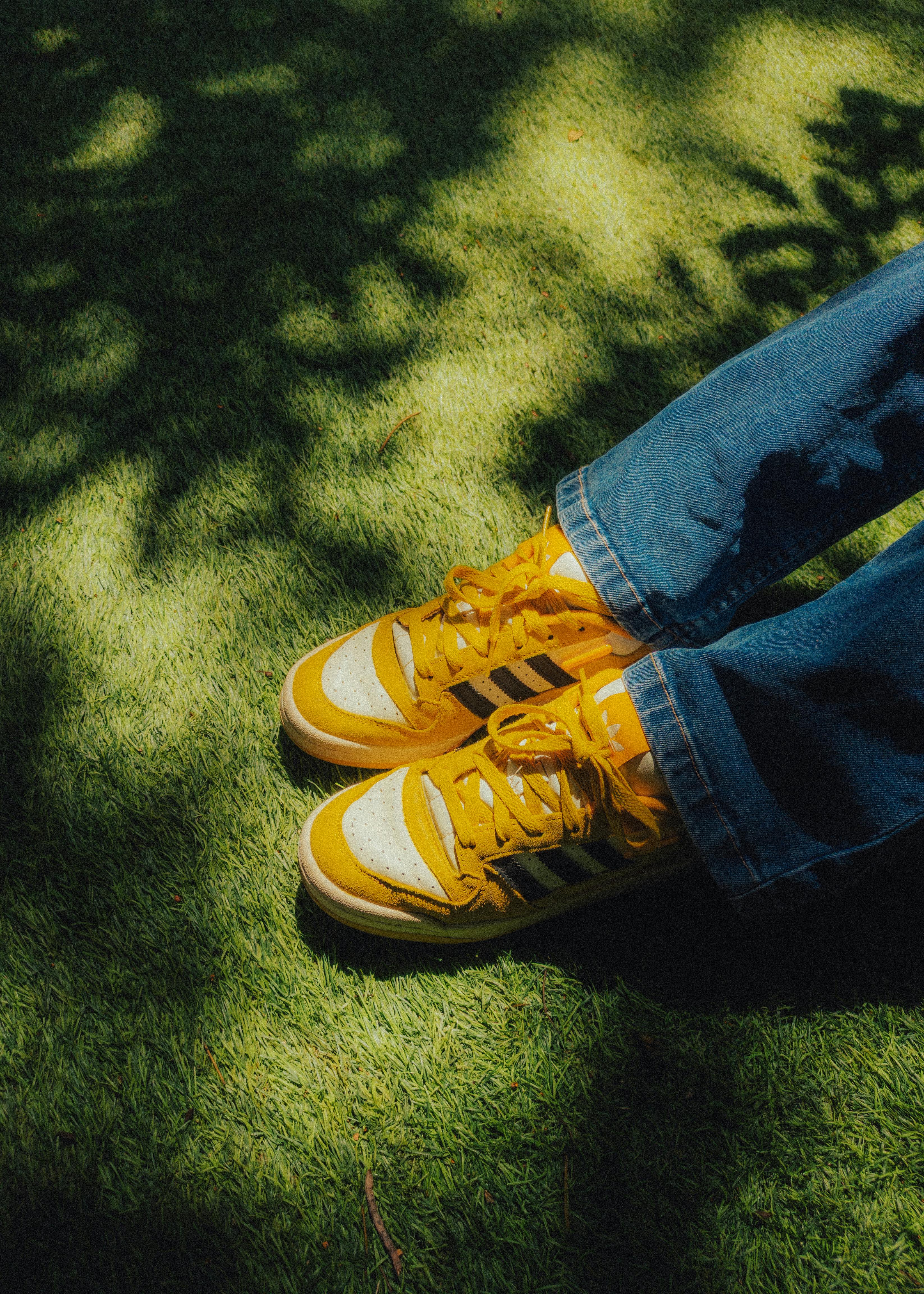 Jorryn Morais - 사진