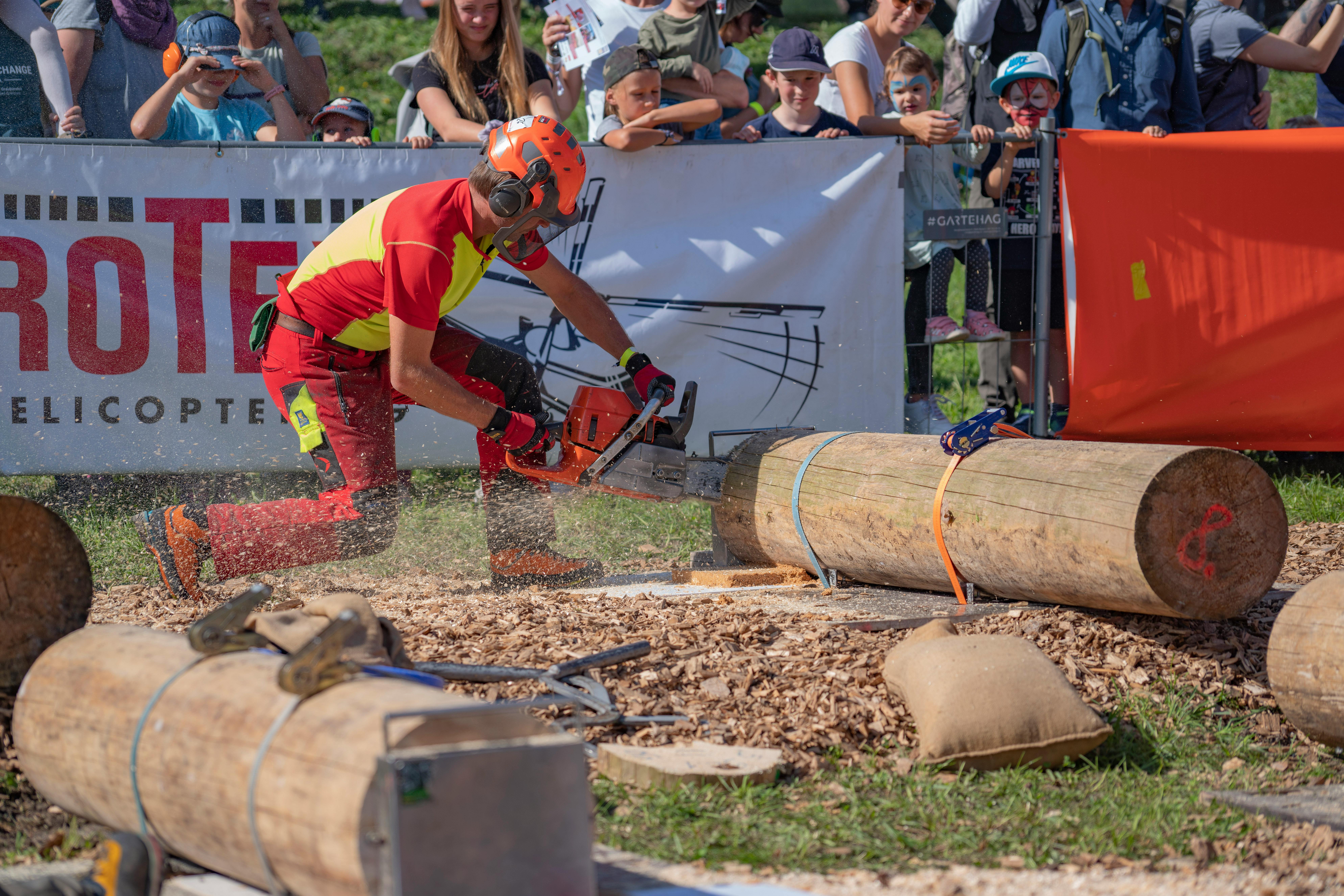 Lumberjack Competition with Chainsaw Action · Free Stock Photo