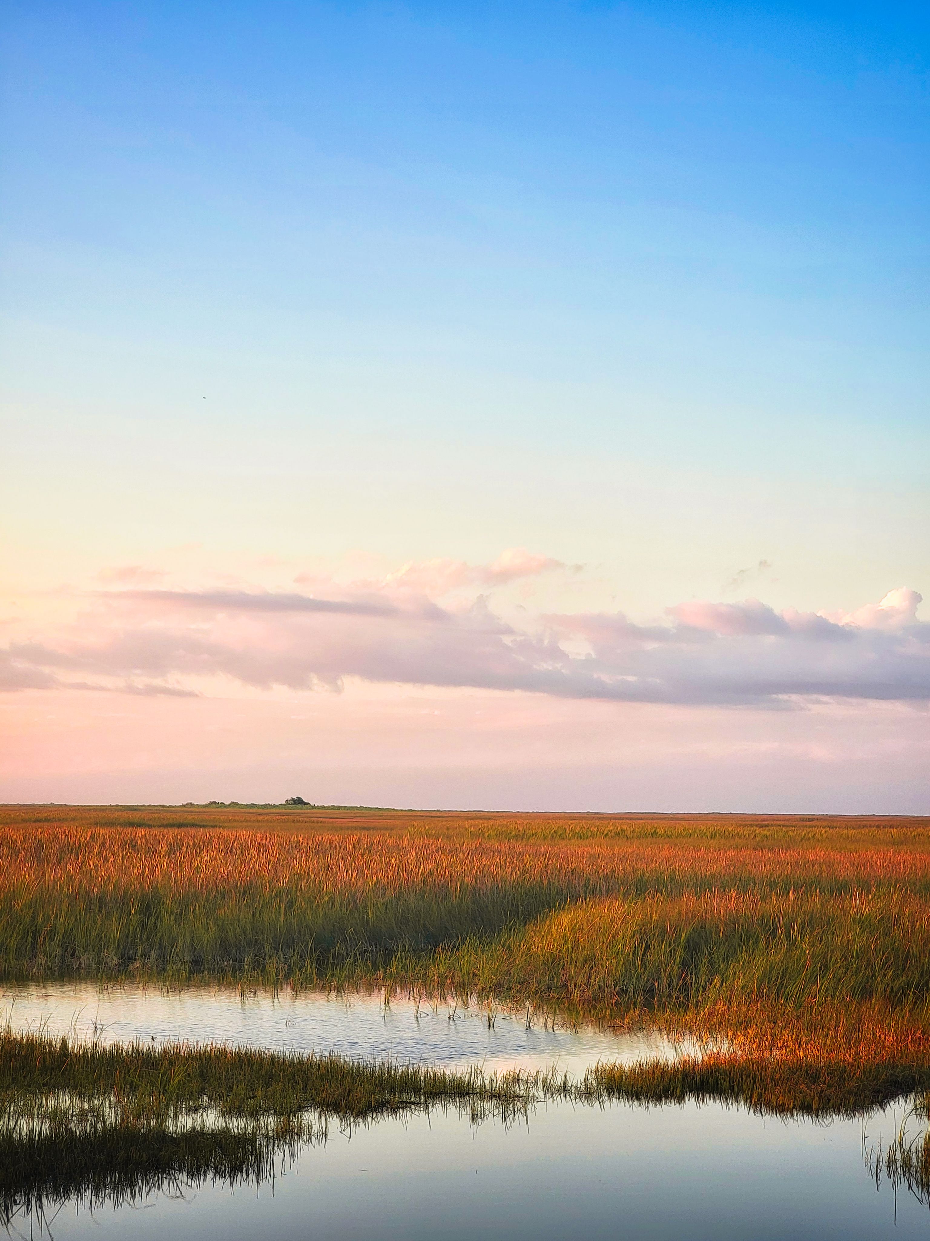 Tranquil Sunset Over Florida Everglades Marsh · Free Stock Photo