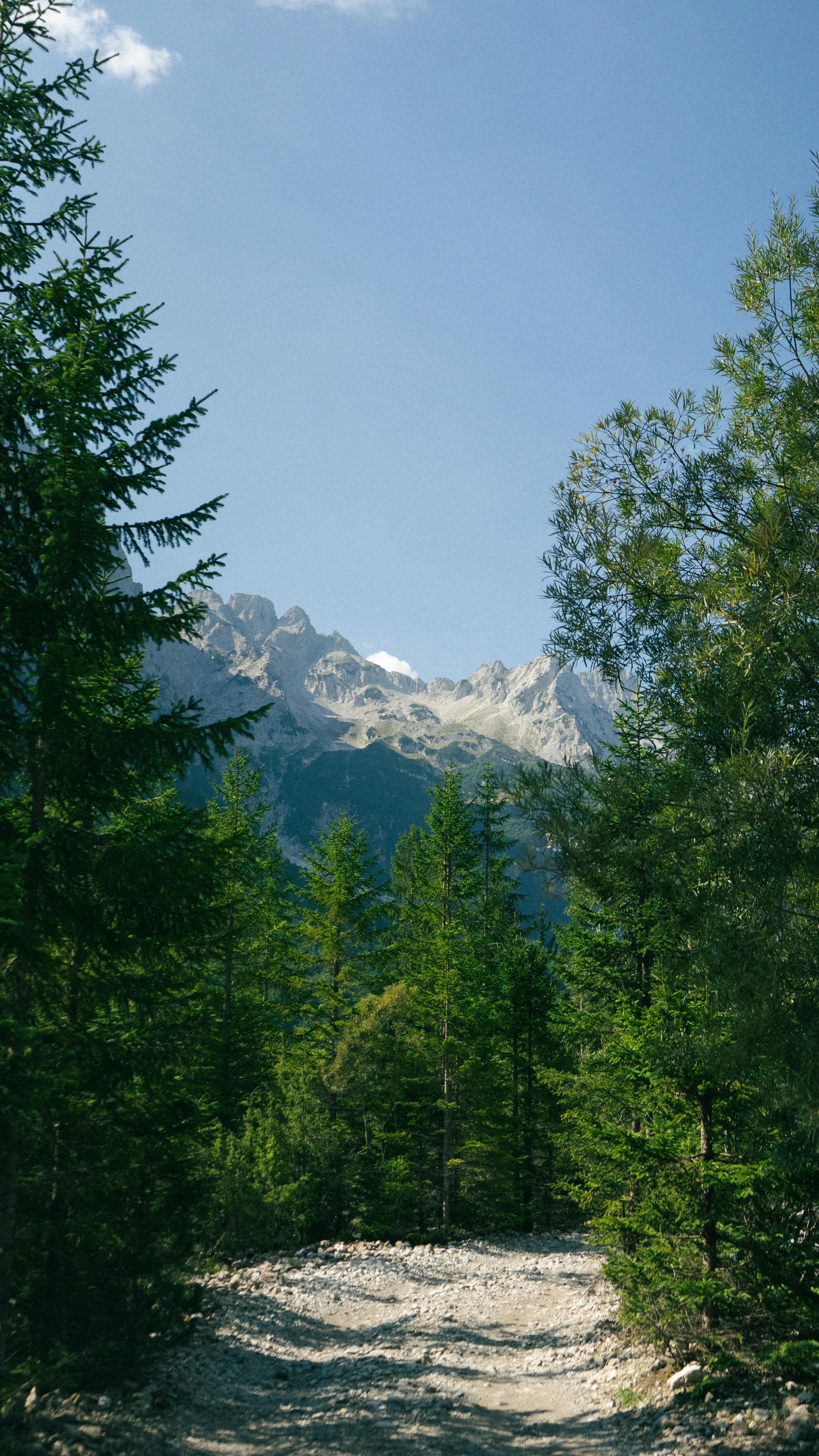 Scenic Mountain Path in Valbonë, Albania · Free Stock Photo