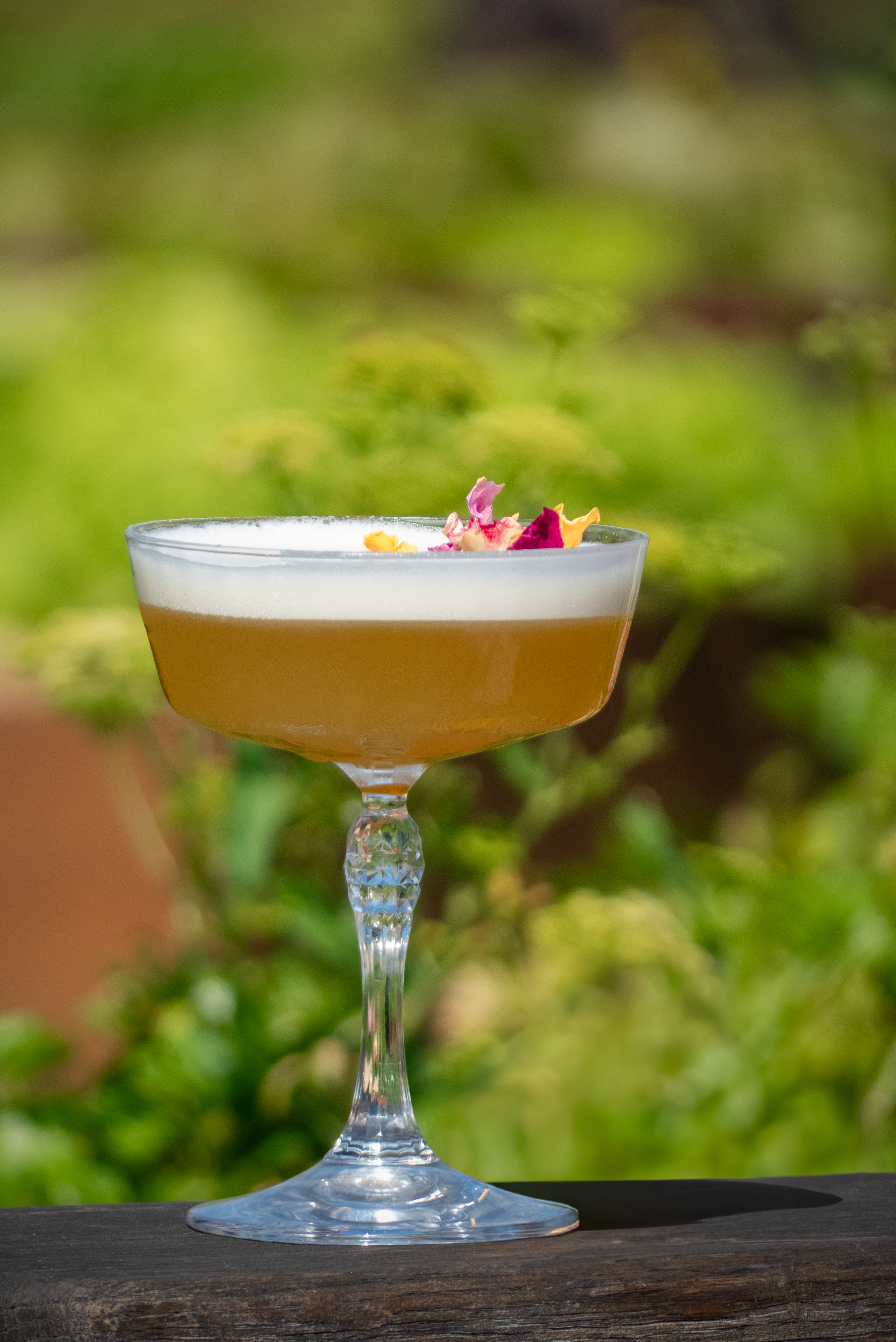 Elegant Floral Cocktail in Sunlit Garden Setting · Free Stock Photo