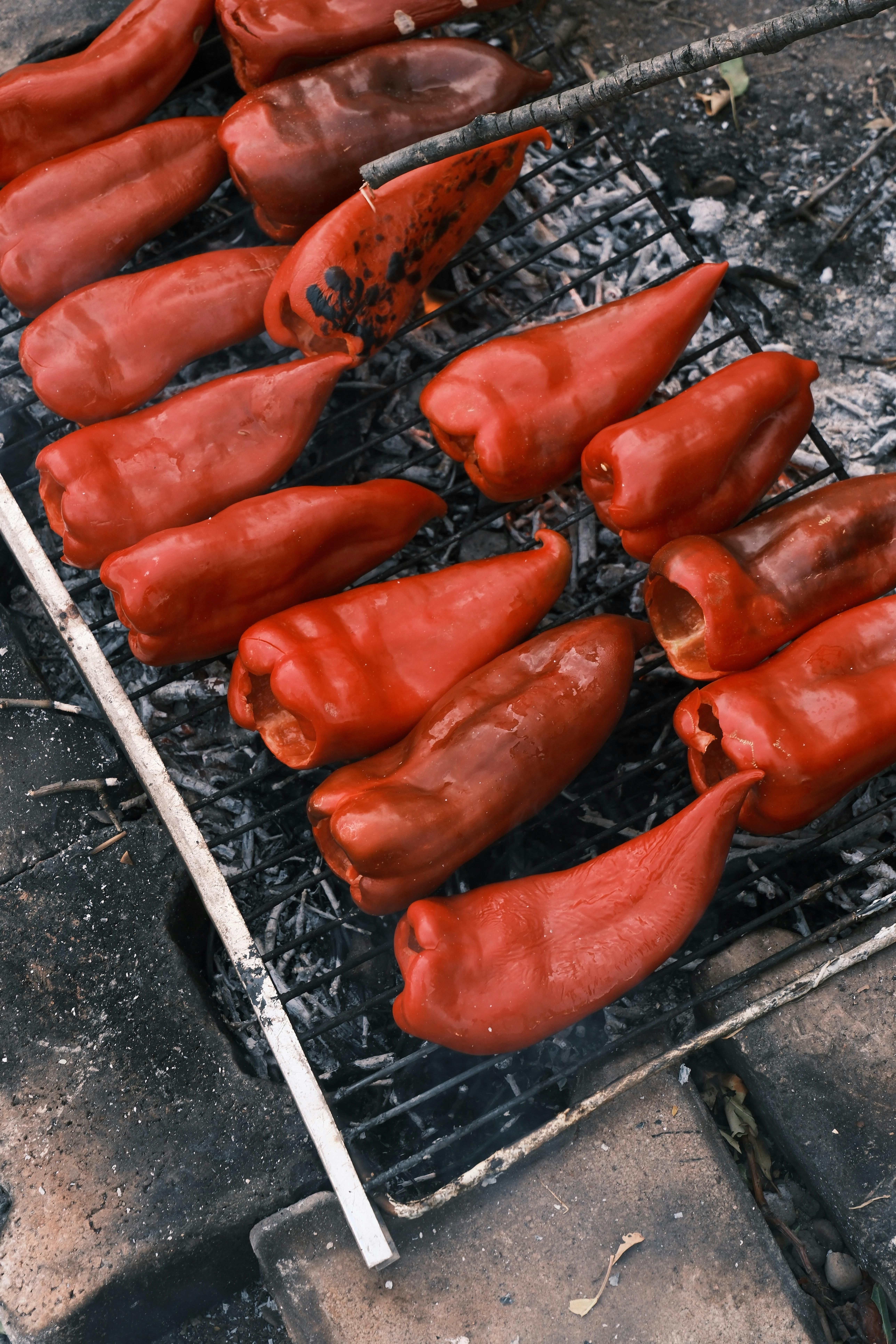 Grilled Red Peppers on Charcoal BBQ in Türkiye · Free Stock Photo