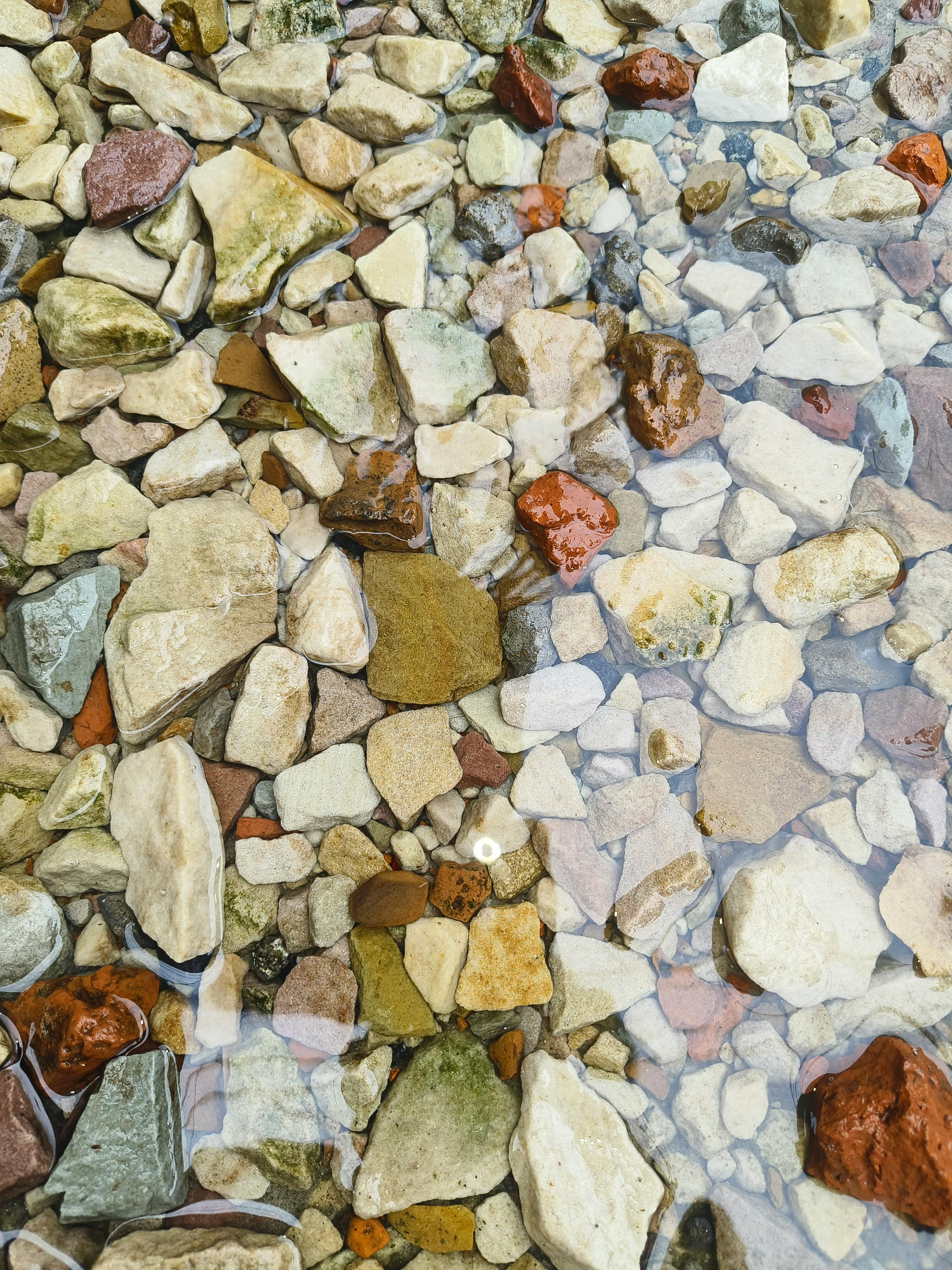 Natural Pebbles Under Clear Water Surface · Free Stock Photo