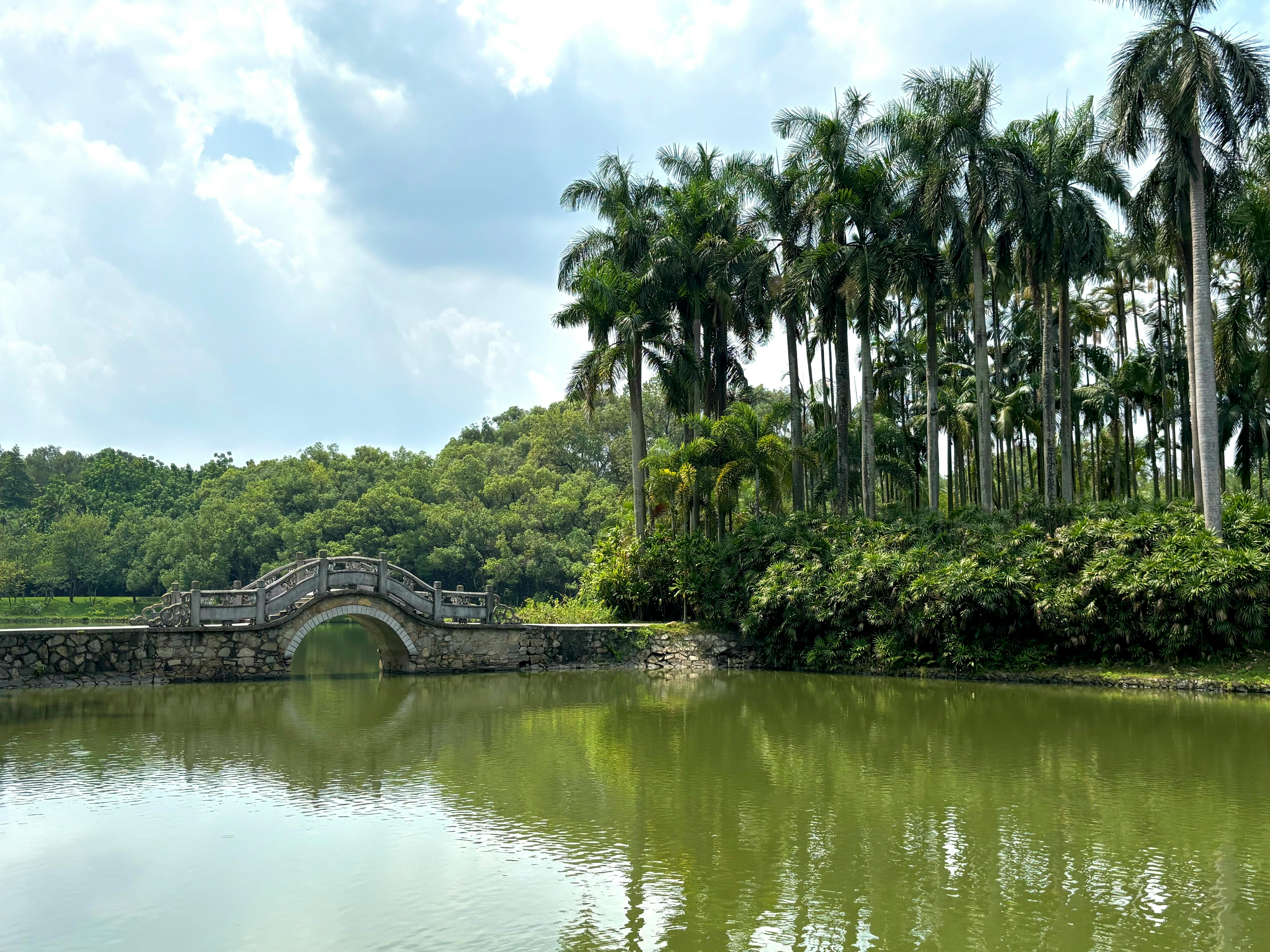 Scenic Stone Bridge in Guangzhou Park · Free Stock Photo