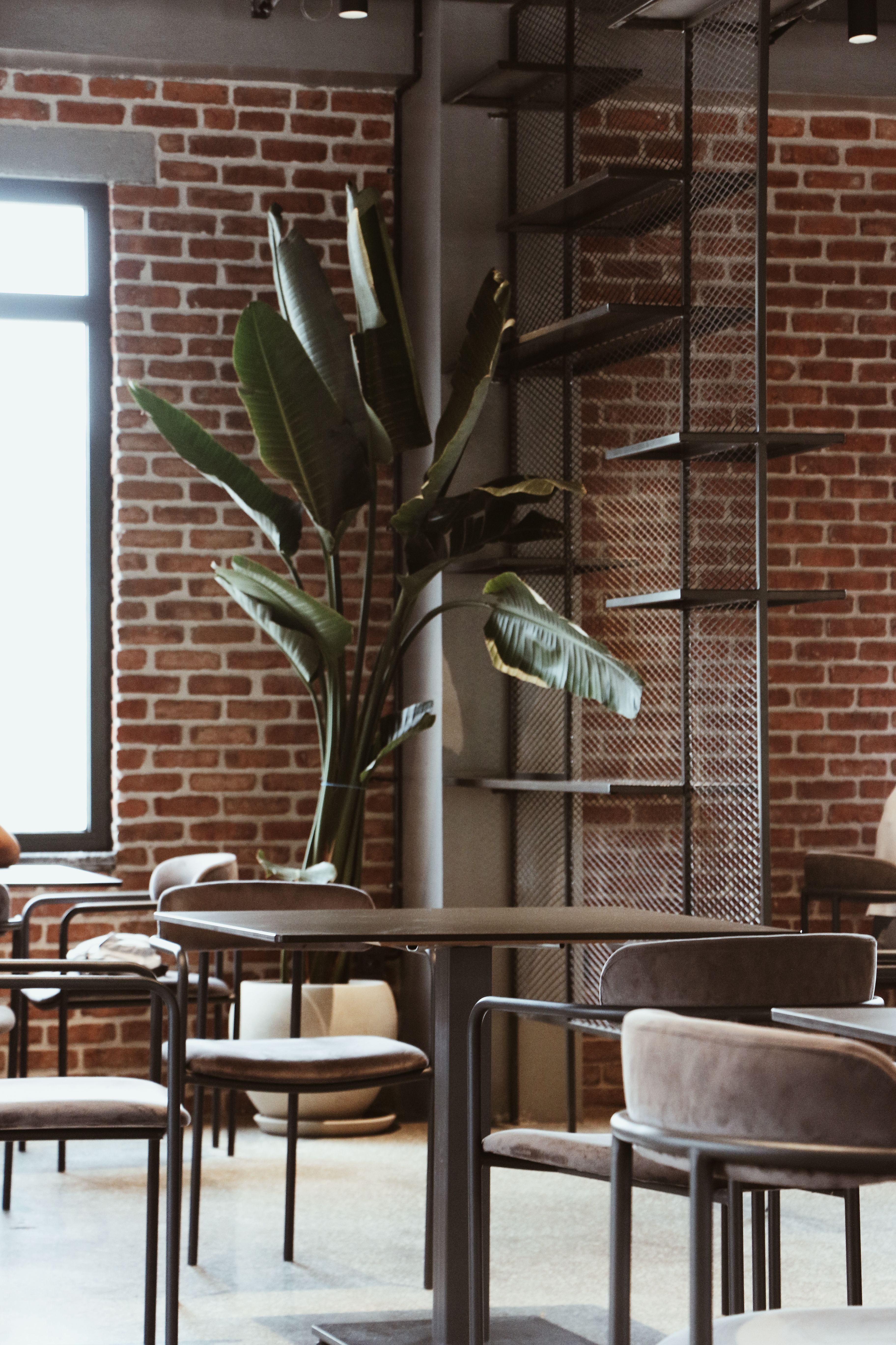 Cafe Interior Photos, Download The BEST Free Cafe Interior Stock Photos ...